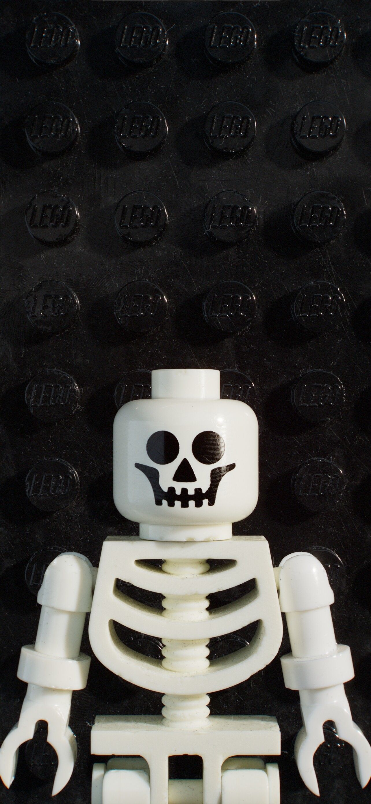 Lego Skeleton Wallpapers - Top Free Lego Skeleton Backgrounds ...