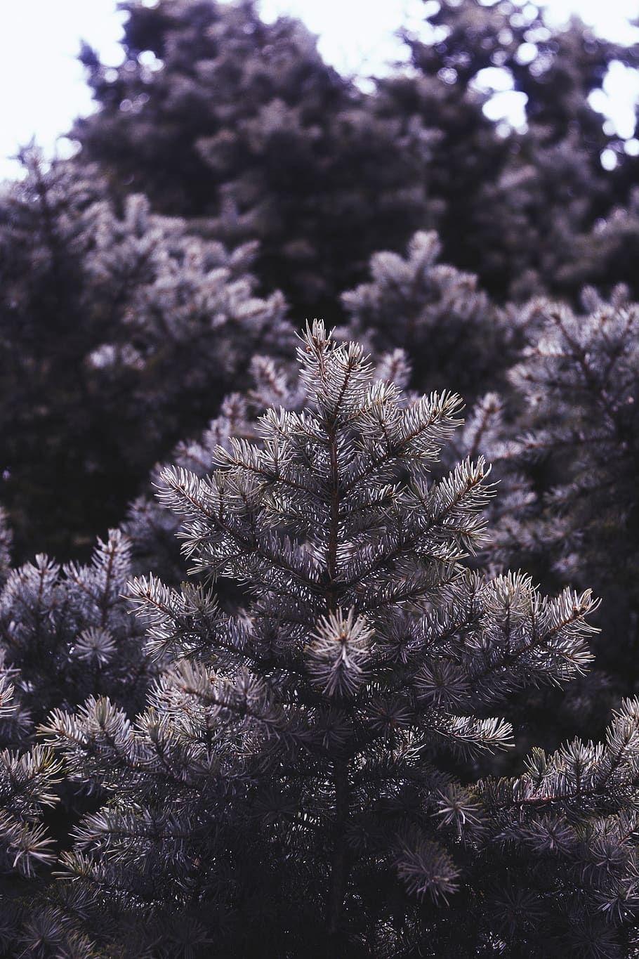 VSCO Nature Wallpapers - Top Free VSCO Nature Backgrounds - WallpaperAccess