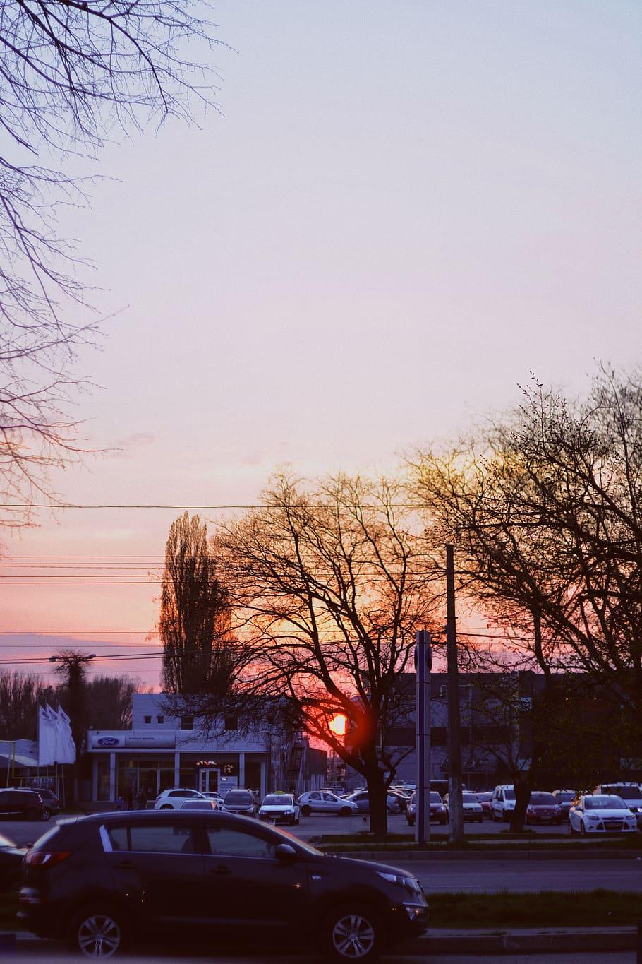 VSCO Nature Wallpapers - Top Free VSCO Nature Backgrounds - WallpaperAccess