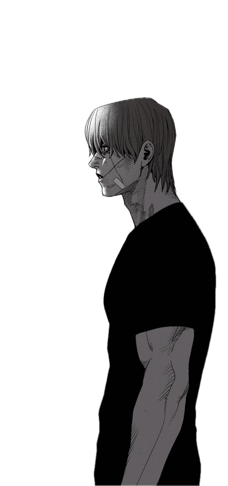 Fight Class 3 Wallpapers - Top Free Fight Class 3 Backgrounds ...