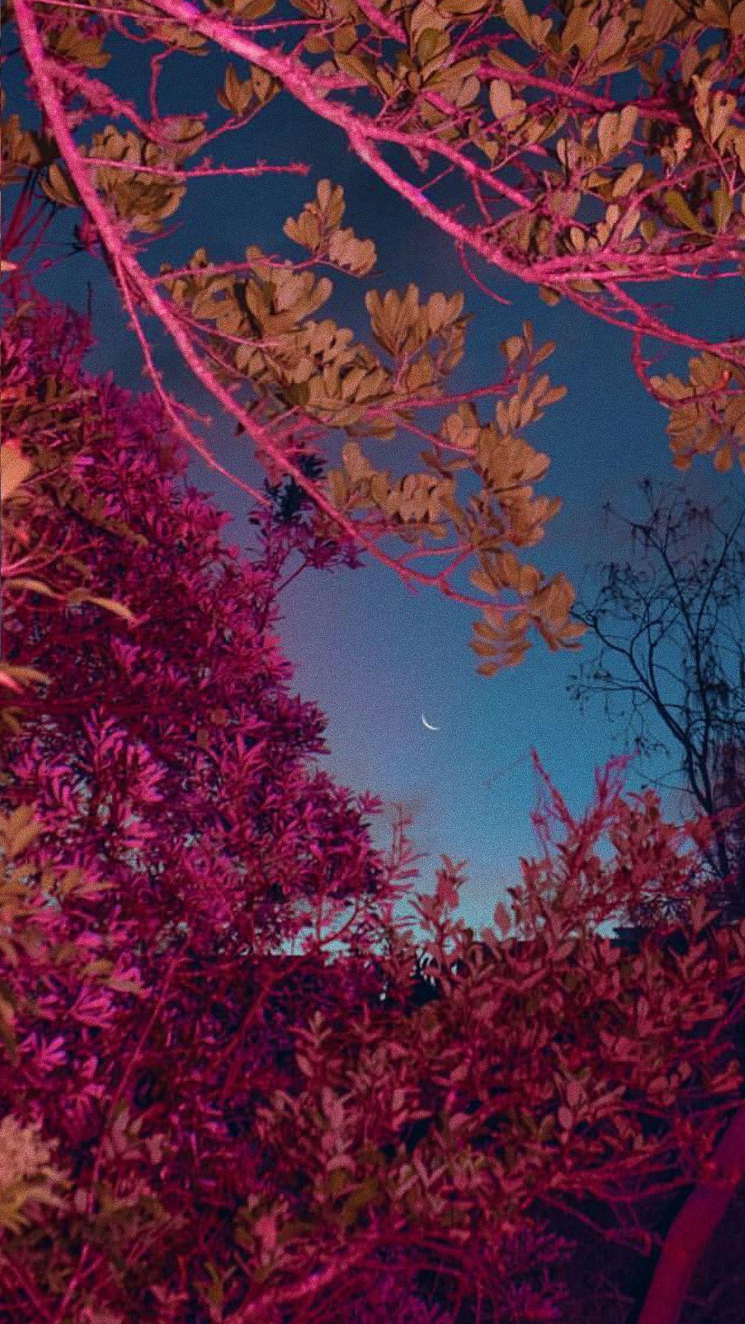 VSCO Vintage Wallpapers - Top Free VSCO Vintage Backgrounds ...