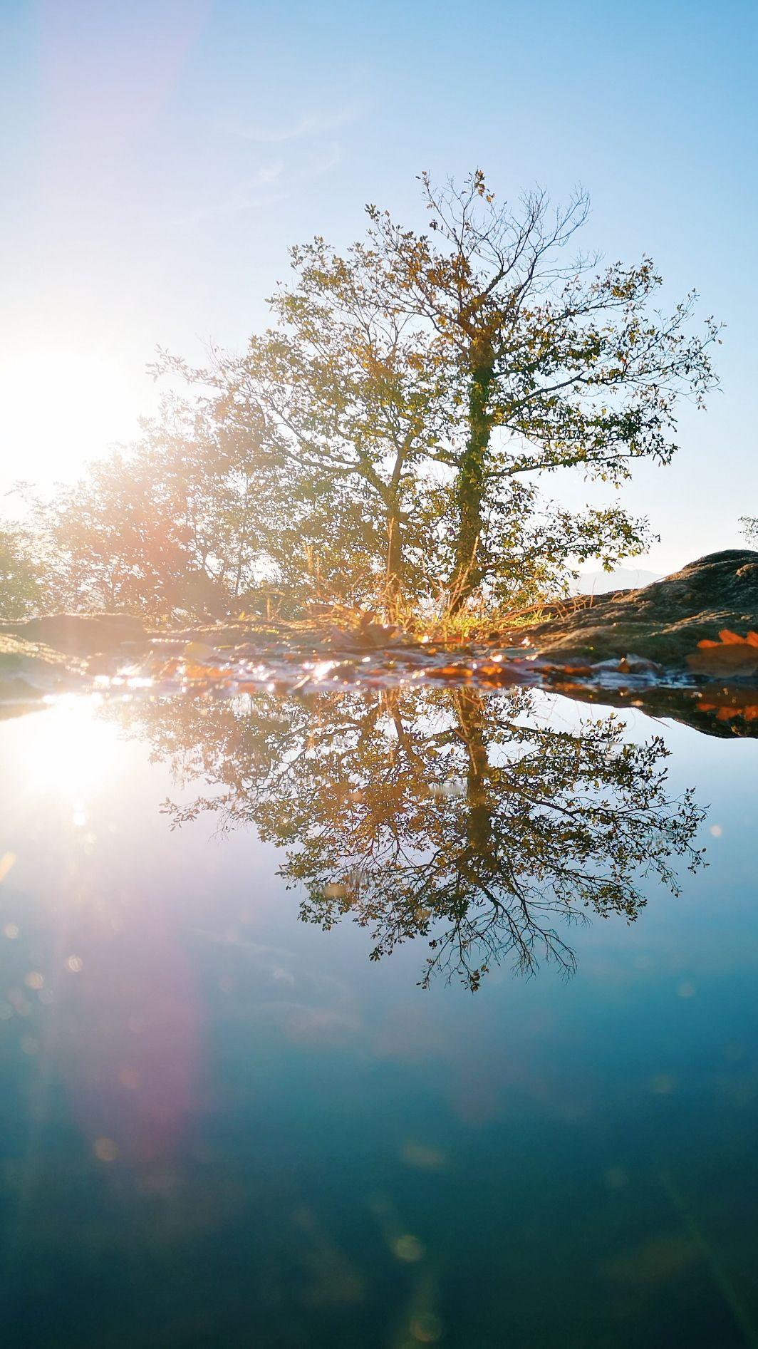 VSCO Nature Wallpapers - Top Free VSCO Nature Backgrounds - WallpaperAccess