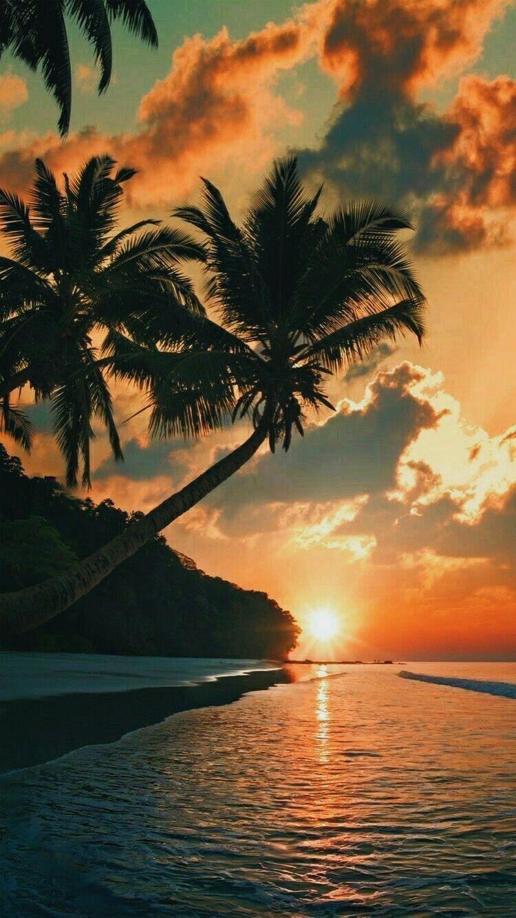 VSCO Nature Wallpapers - Top Free VSCO Nature Backgrounds - WallpaperAccess