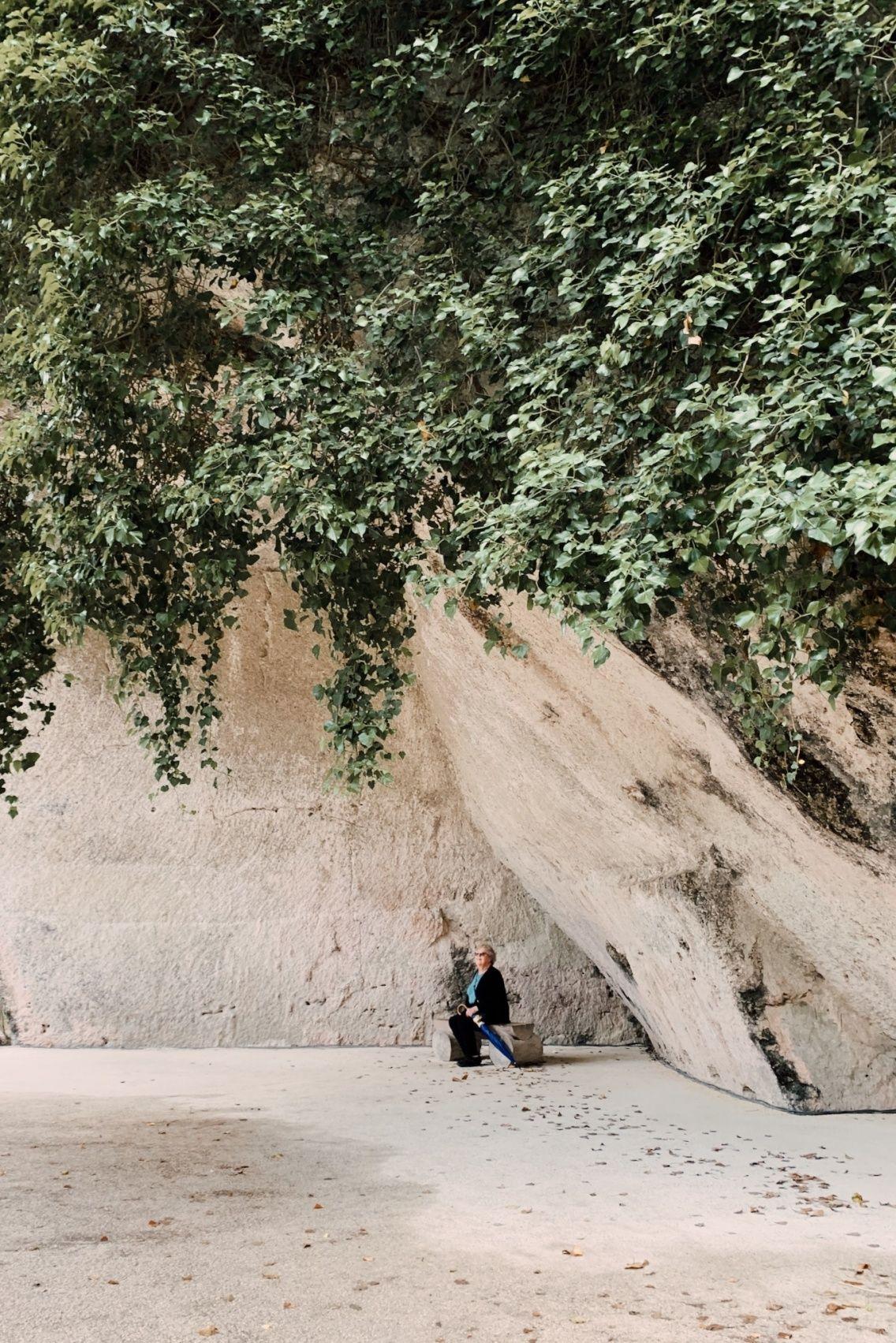 VSCO Nature Wallpapers - Top Free VSCO Nature Backgrounds - WallpaperAccess