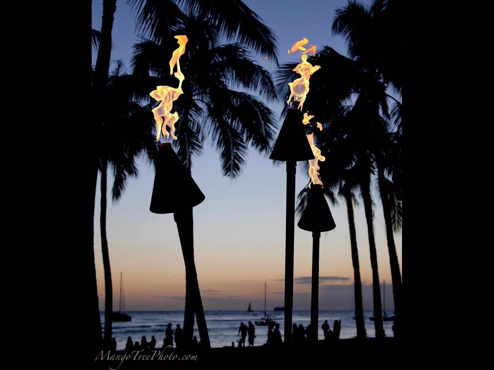 Hula Dancer Wallpapers - Top Free Hula Dancer Backgrounds - WallpaperAccess