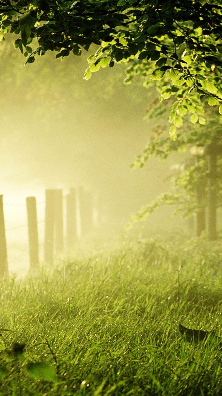 Vertical Summer Wallpapers - Top Free Vertical Summer Backgrounds ...