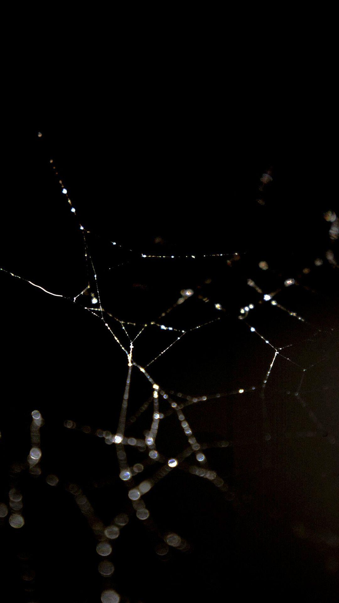 Spider iPhone Wallpapers - Top Free Spider iPhone Backgrounds ...