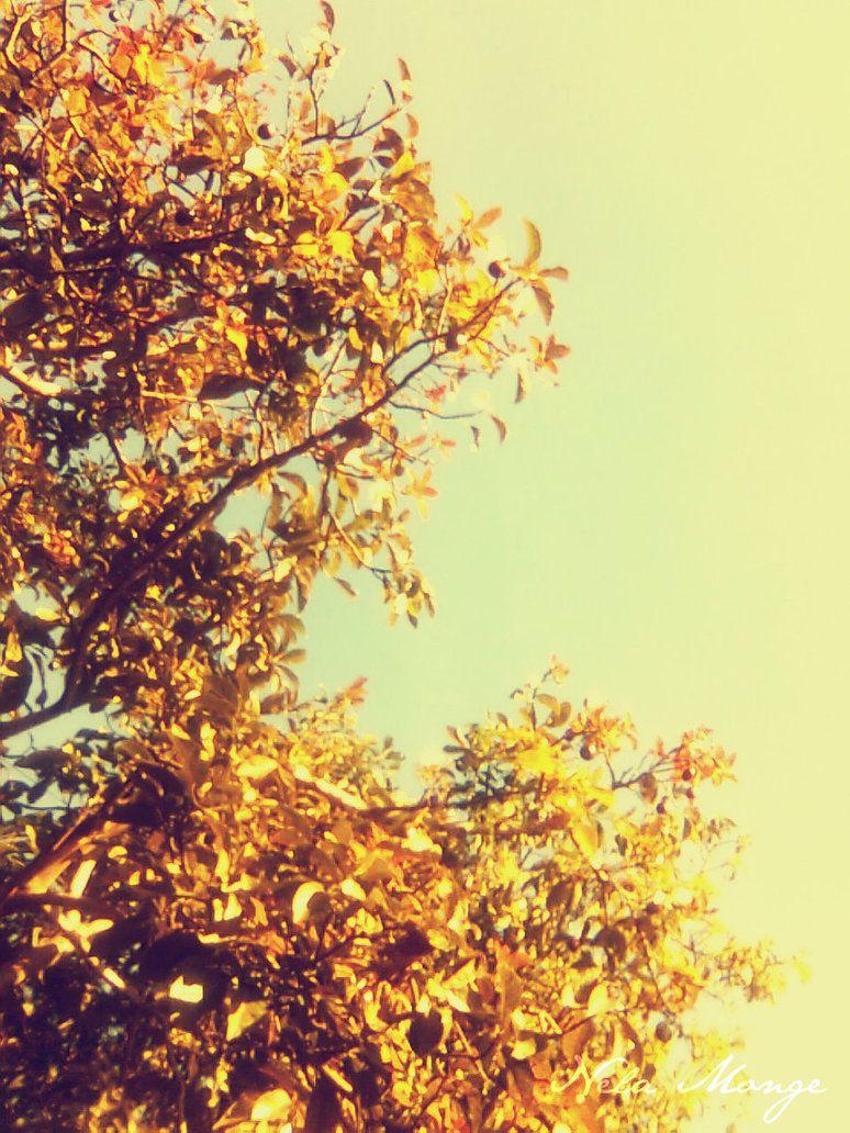 Vintage Fall Wallpapers - Top Free Vintage Fall Backgrounds ...