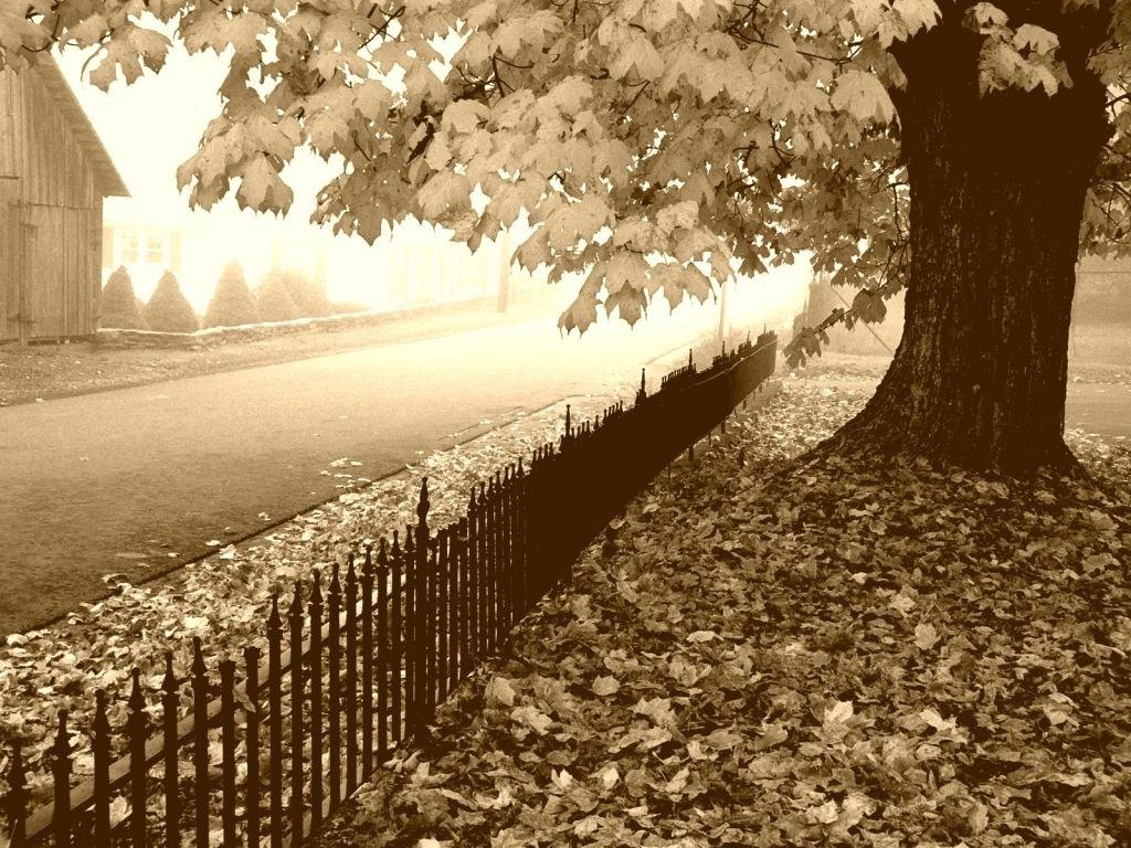 Vintage Fall Wallpapers - Top Free Vintage Fall Backgrounds ...