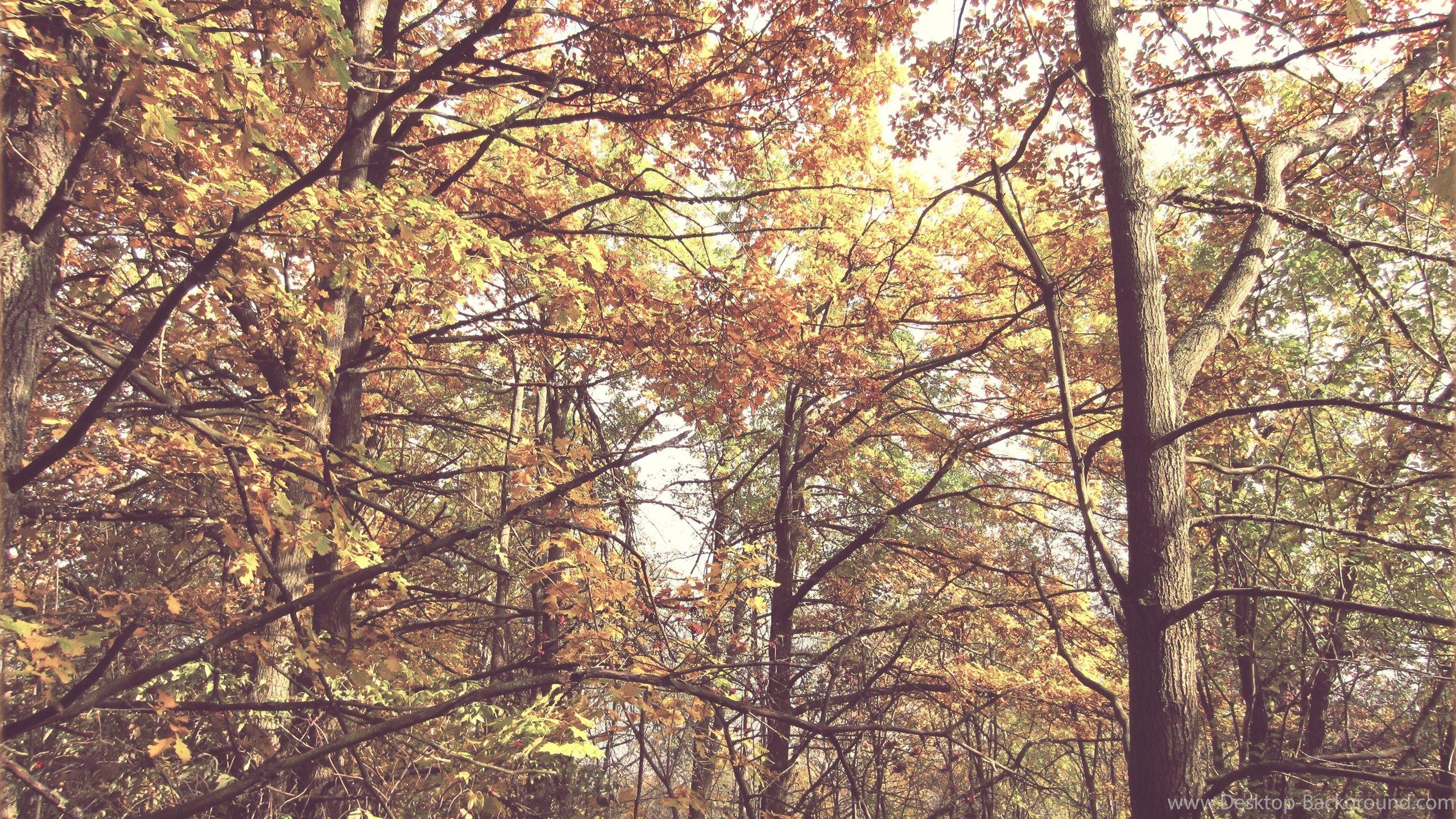 Vintage Fall Wallpapers - Top Free Vintage Fall Backgrounds ...