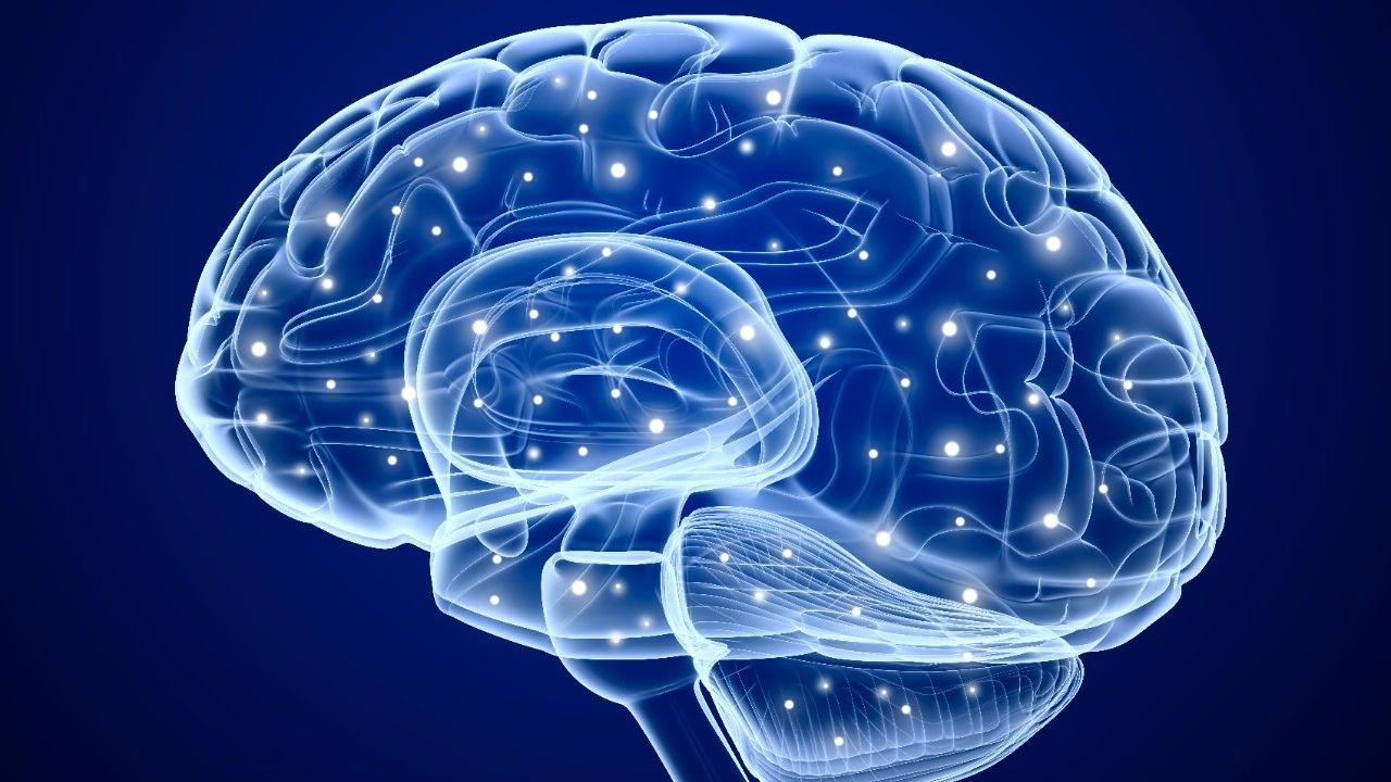 Neurosurgeon Wallpapers - Top Free Neurosurgeon Backgrounds ...