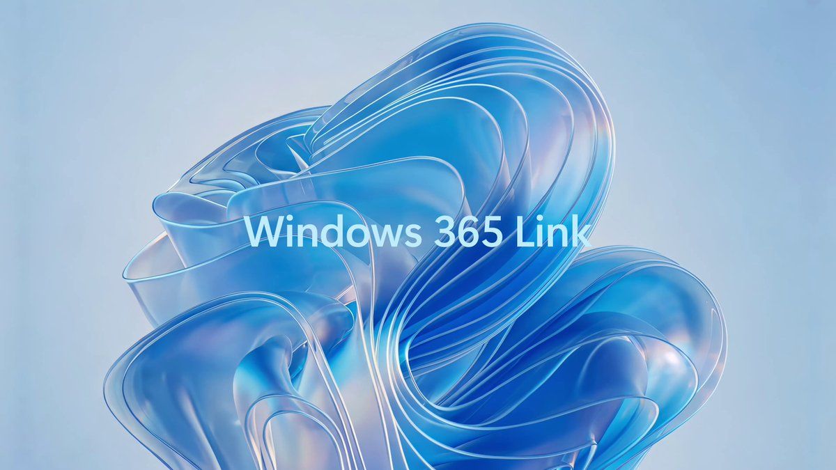 Windows 365 Wallpapers - Top Free Windows 365 Backgrounds - WallpaperAccess