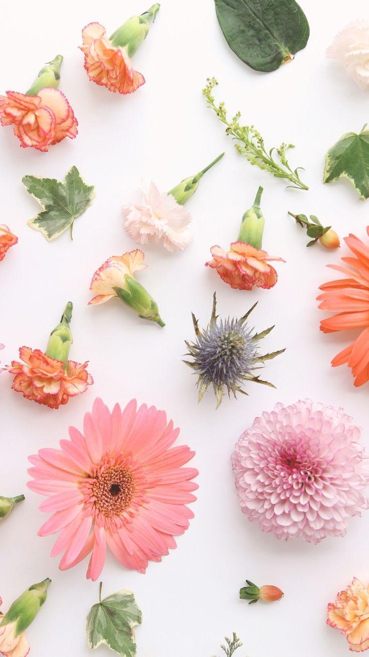 Cute Floral Wallpapers - Top Free Cute Floral Backgrounds - WallpaperAccess