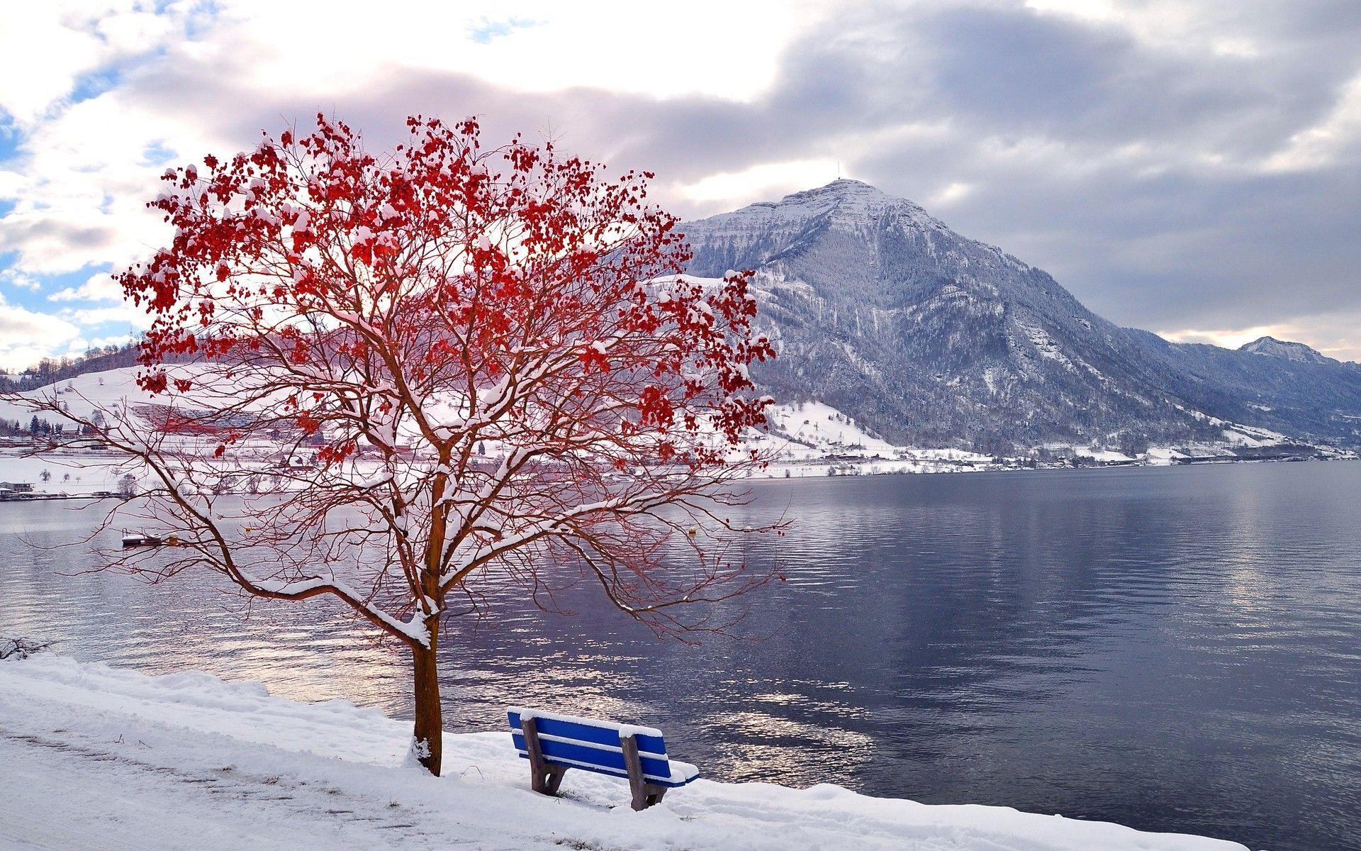 Winter Street Wallpapers - Top Free Winter Street Backgrounds ...