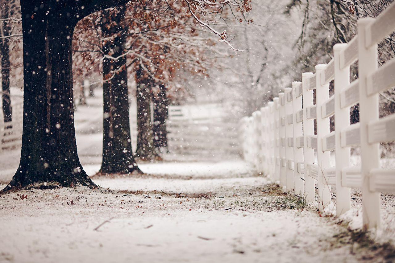 Winter Street Wallpapers - Top Free Winter Street Backgrounds ...
