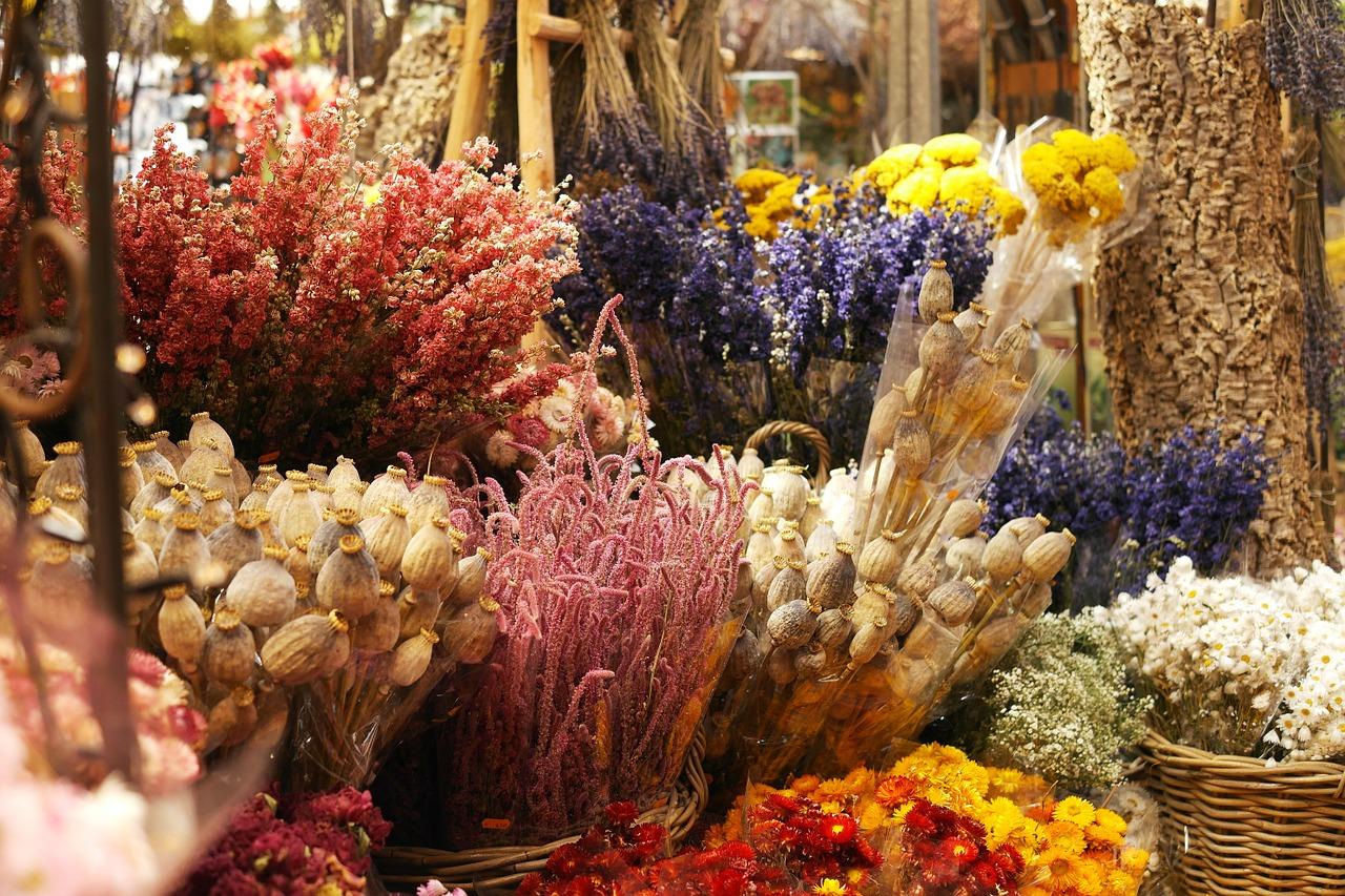 Dried Flowers Wallpapers - Top Free Dried Flowers Backgrounds ...