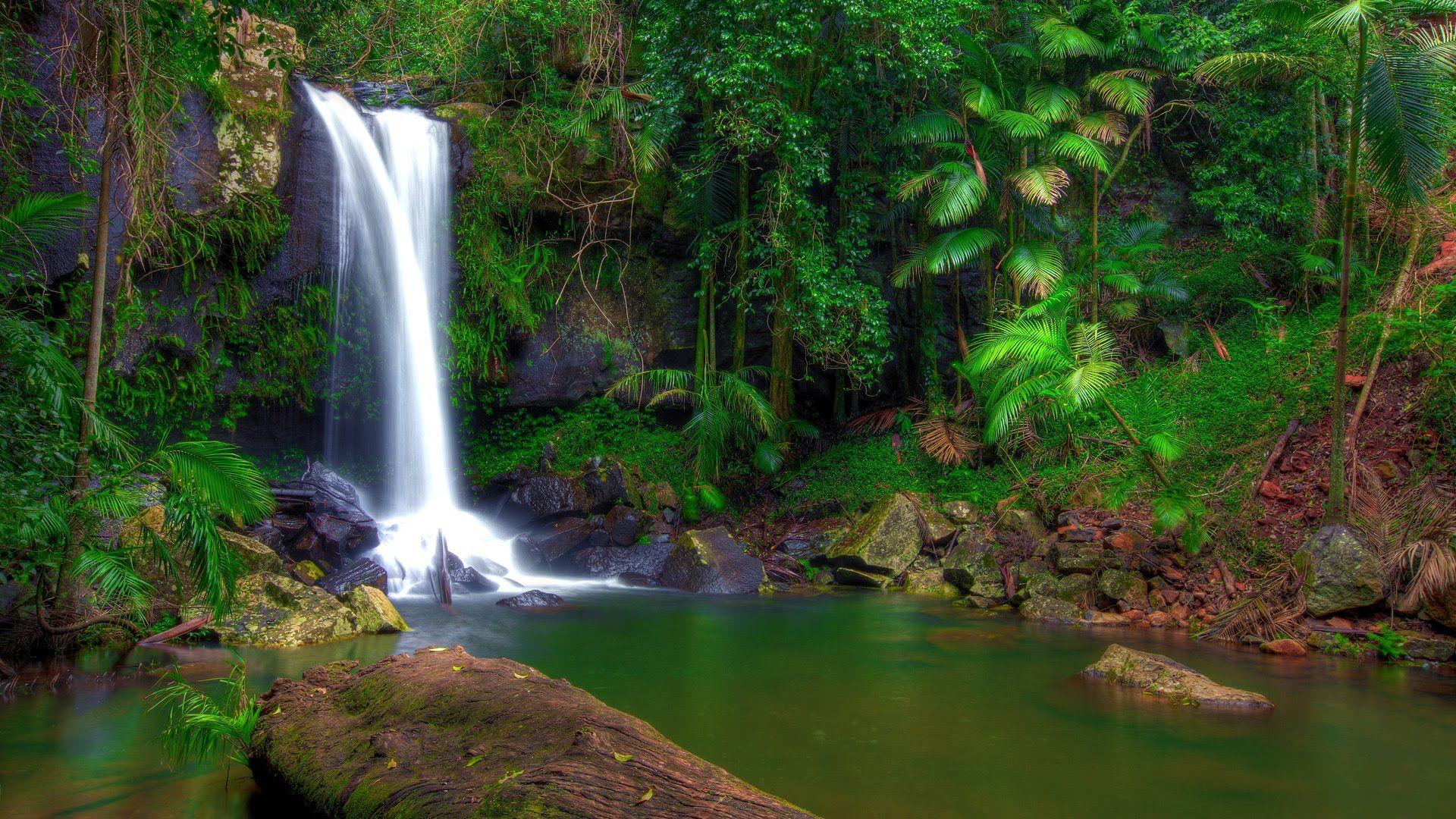 Jungle Waterfall Wallpapers - Top Free Jungle Waterfall Backgrounds ...