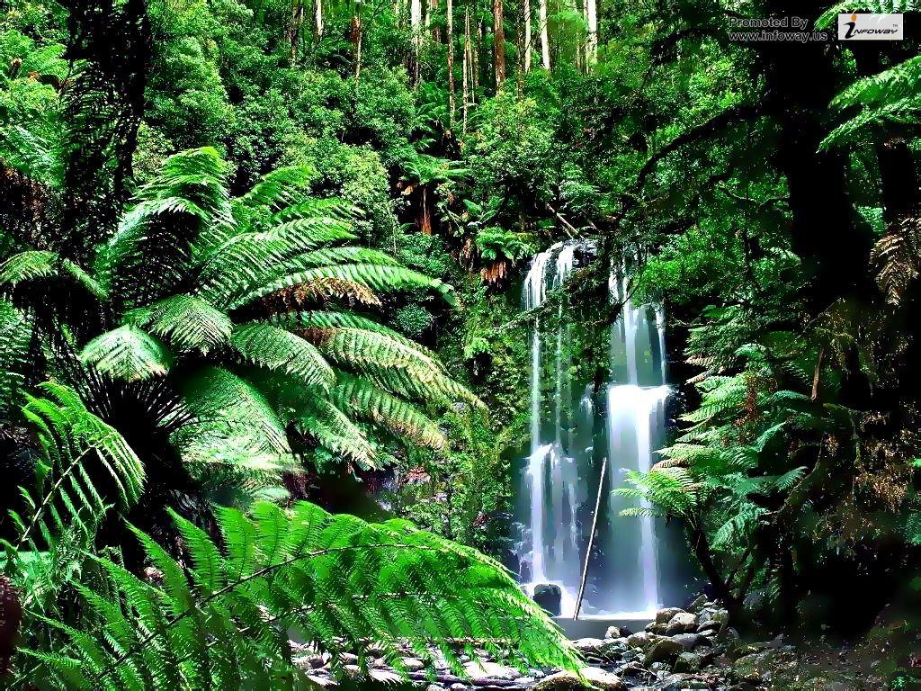 Tropical Waterfall Wallpapers - Top Free Tropical Waterfall Backgrounds ...