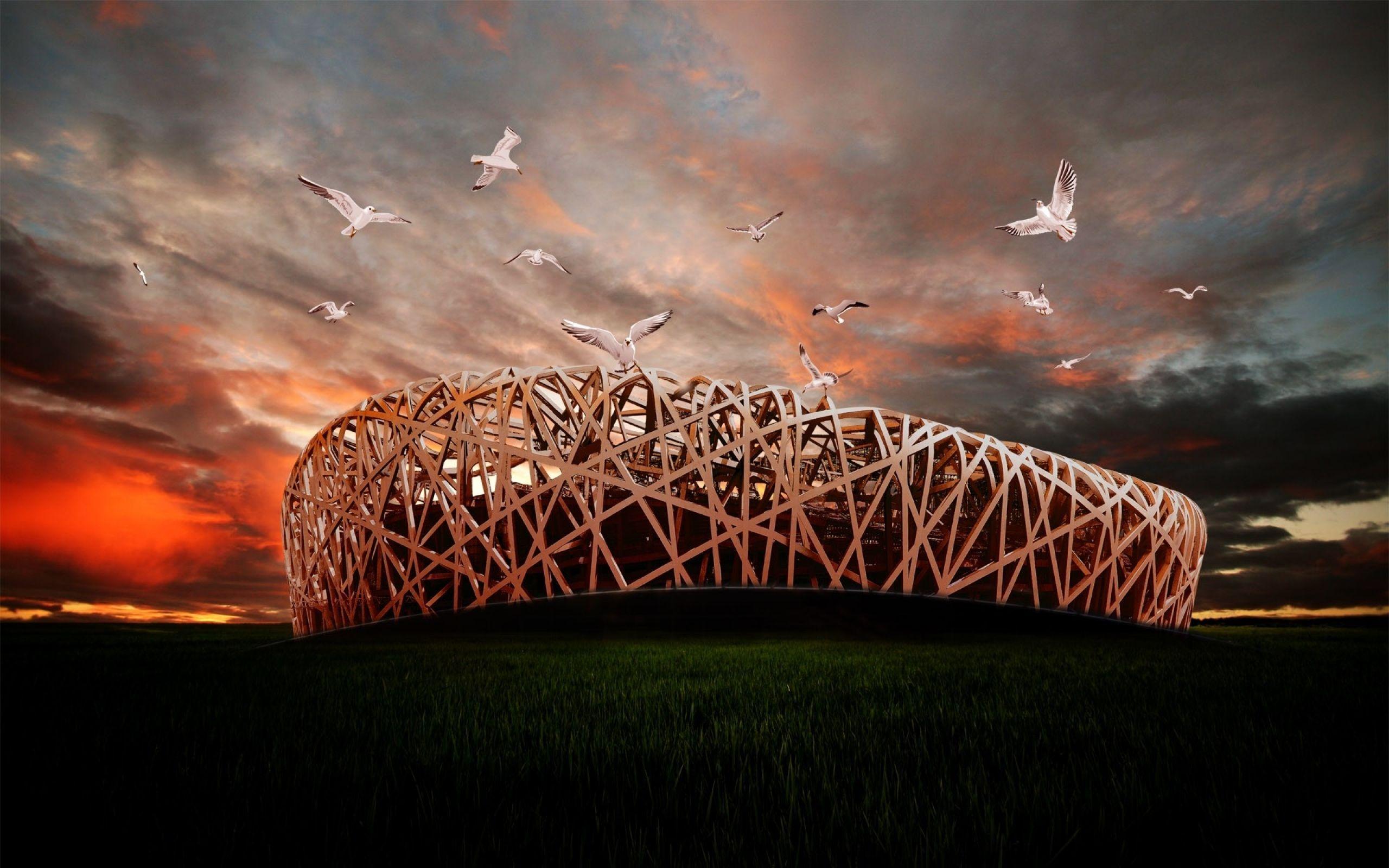 Bird Nest Wallpapers - Top Free Bird Nest Backgrounds - WallpaperAccess
