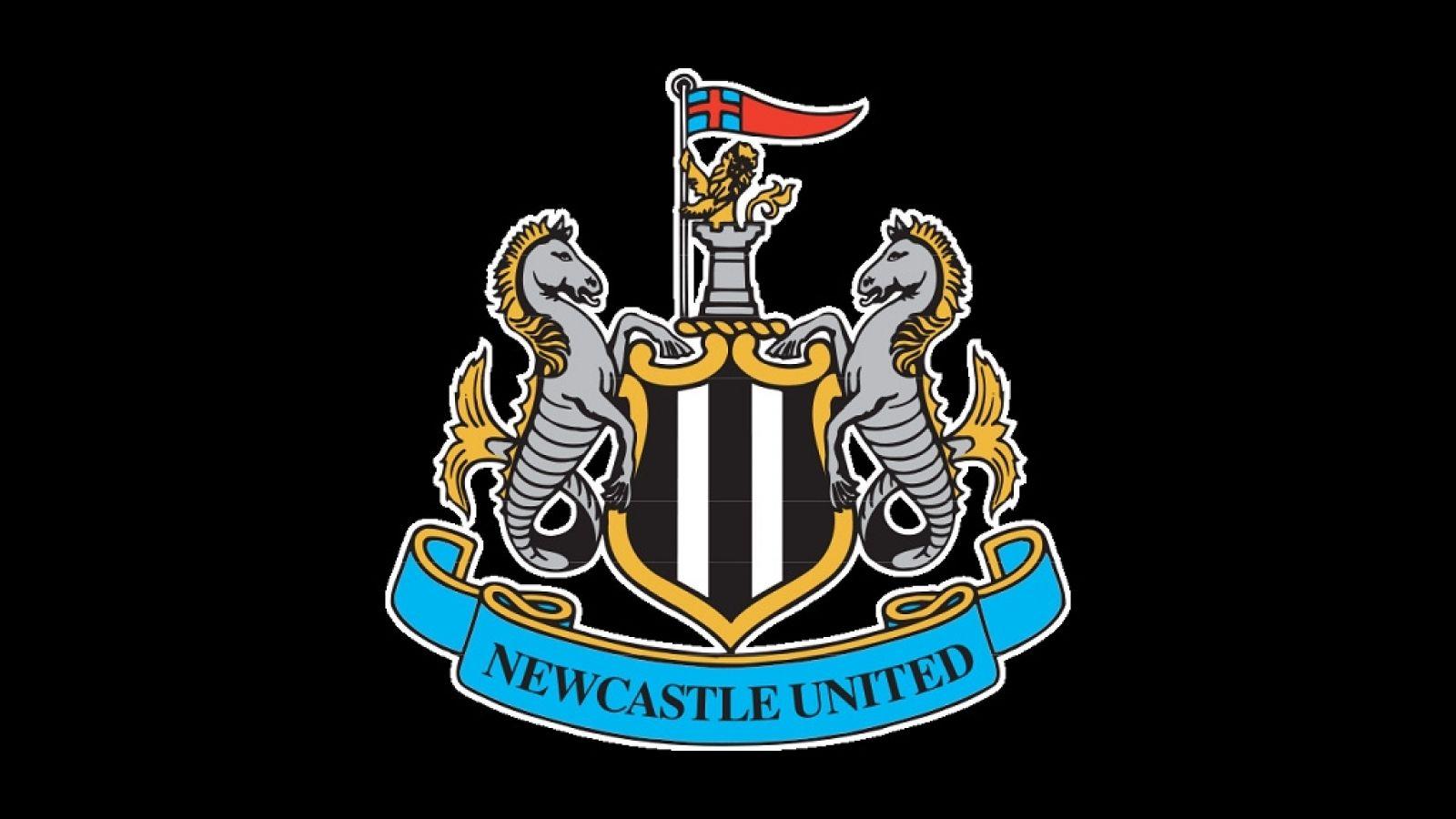 Newcastle United Wallpapers - Top Free Newcastle United Backgrounds ...