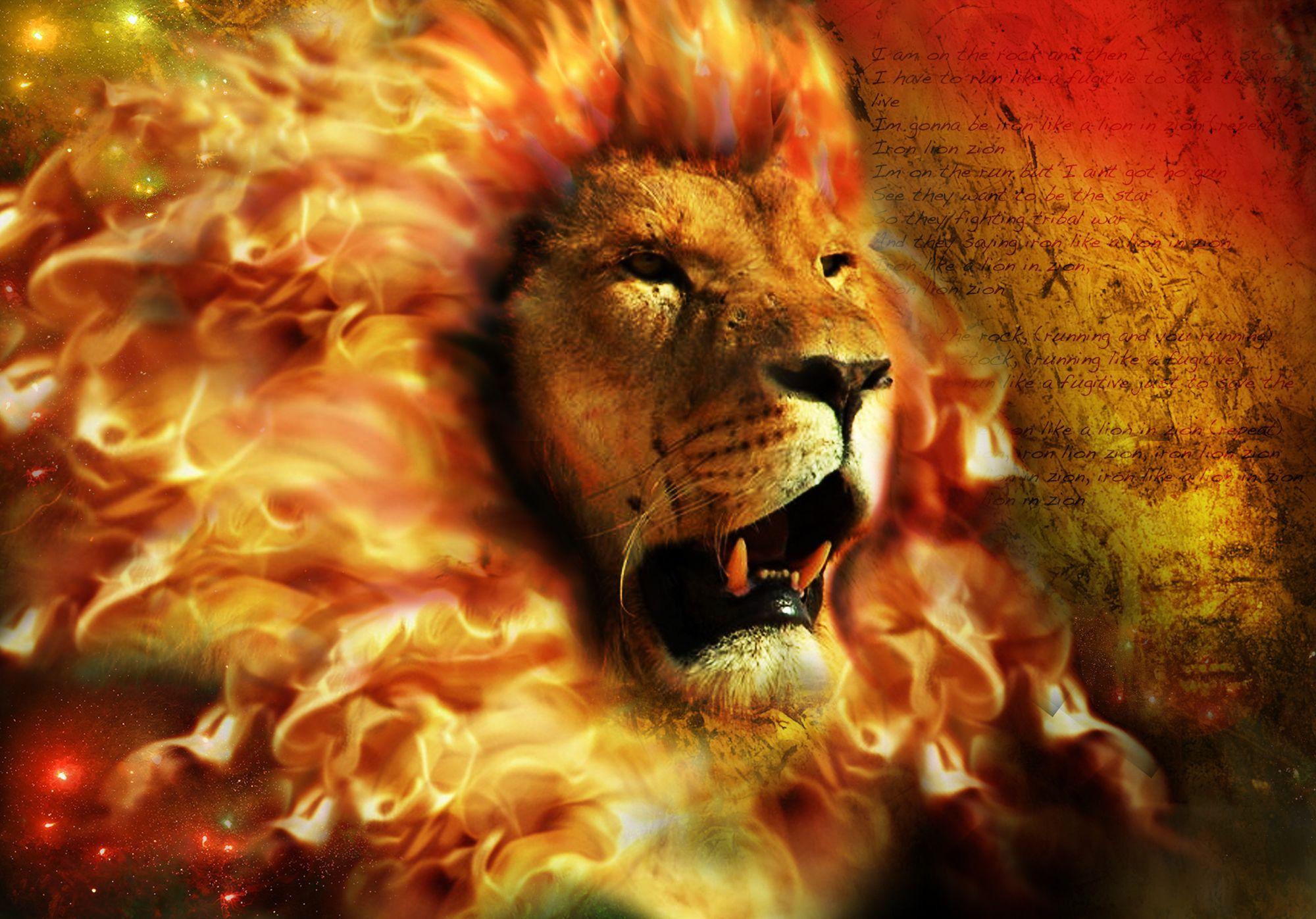 Fierce Lion Wallpapers - Top Free Fierce Lion Backgrounds - WallpaperAccess