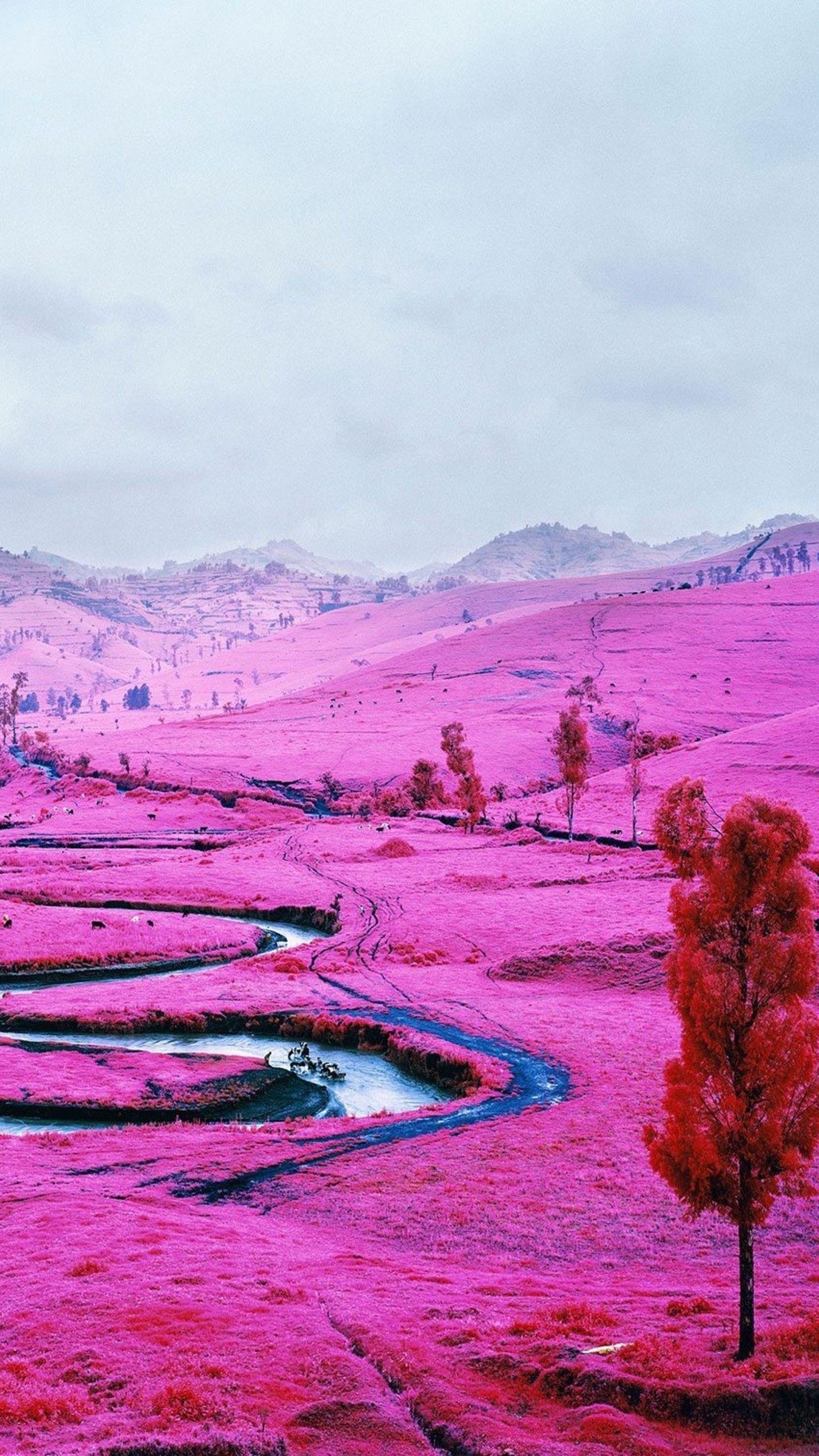 Congo Wallpapers - Top Free Congo Backgrounds - WallpaperAccess