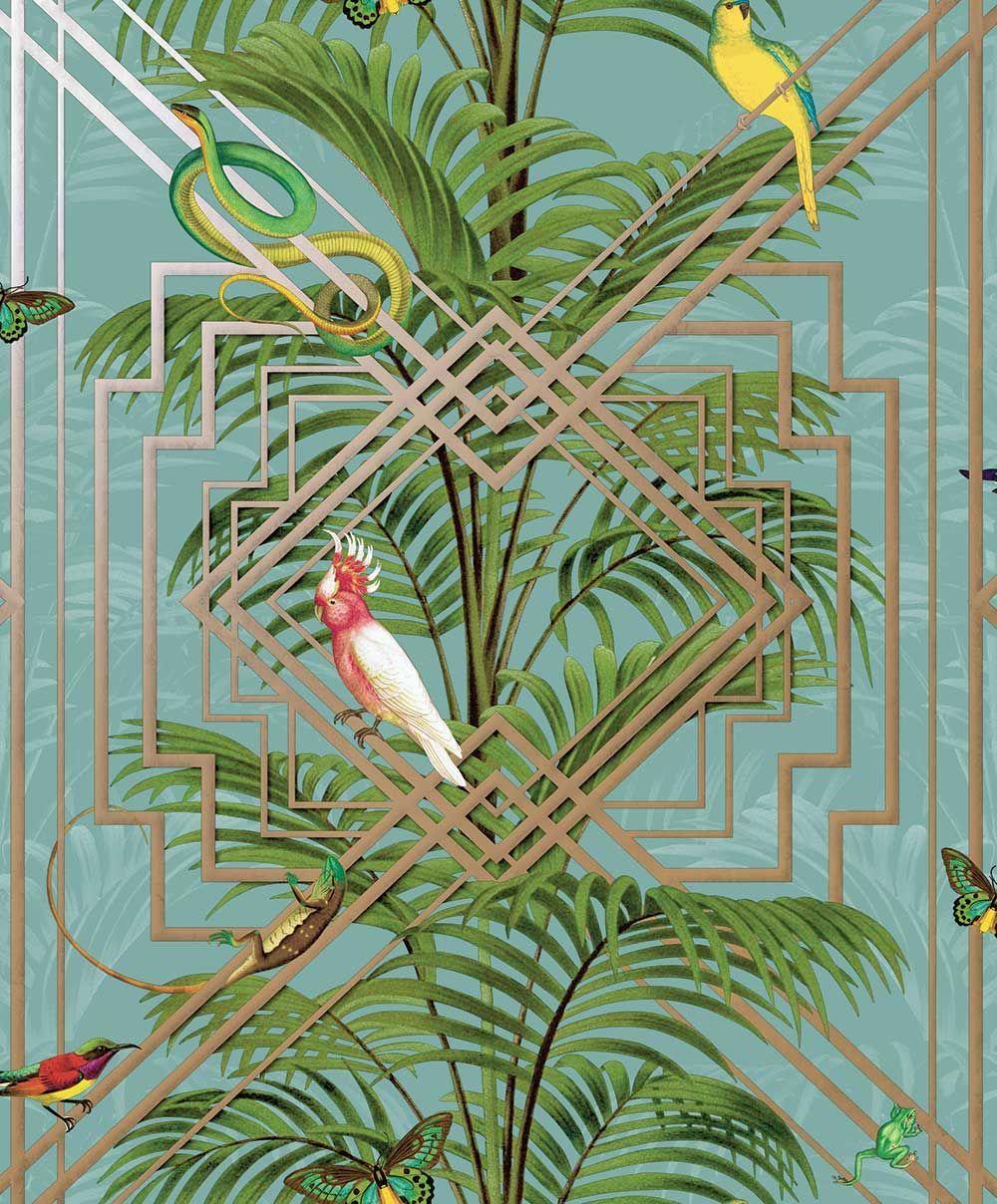 Congo Wallpapers - Top Free Congo Backgrounds - WallpaperAccess