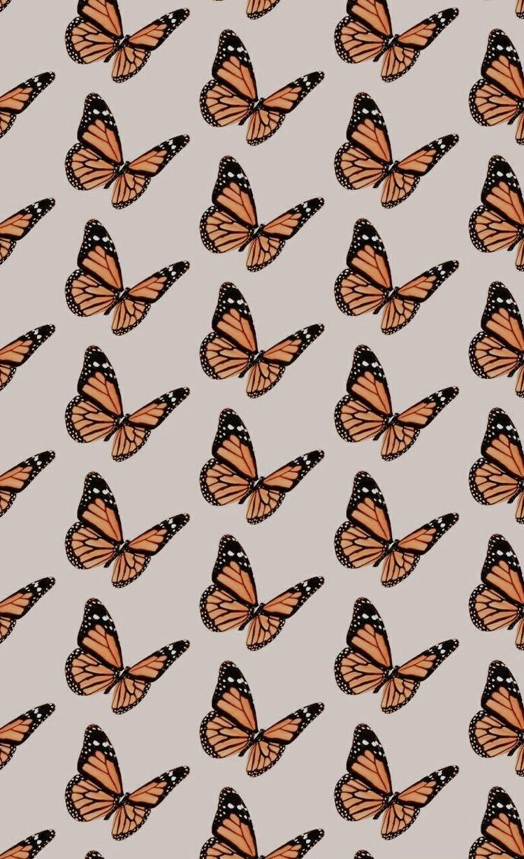 VSCO Butterfly Wallpapers - Top Free VSCO Butterfly Backgrounds ...