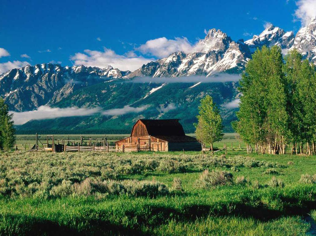 Little Farm Wallpapers - Top Free Little Farm Backgrounds - WallpaperAccess
