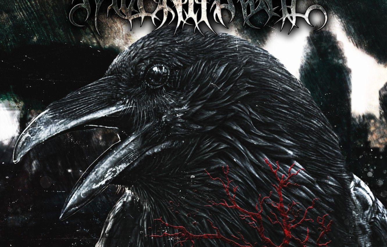 Hatred Wallpapers - Top Free Hatred Backgrounds - WallpaperAccess