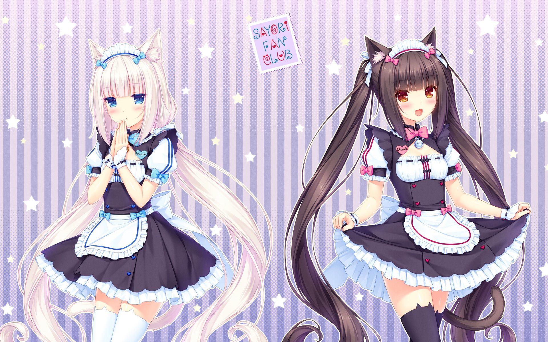 Nekopara Wallpapers - Top Free Nekopara Backgrounds - WallpaperAccess
