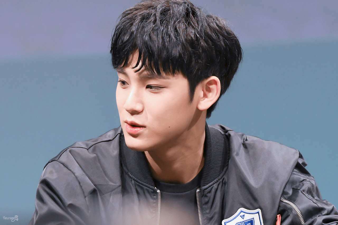 Kim Mingyu Wallpapers - Top Free Kim Mingyu Backgrounds - WallpaperAccess
