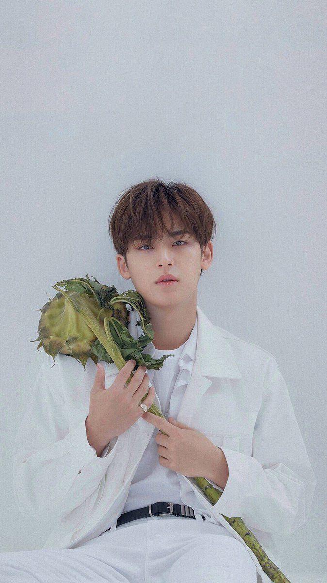 Kim Mingyu Wallpapers - Top Free Kim Mingyu Backgrounds - WallpaperAccess