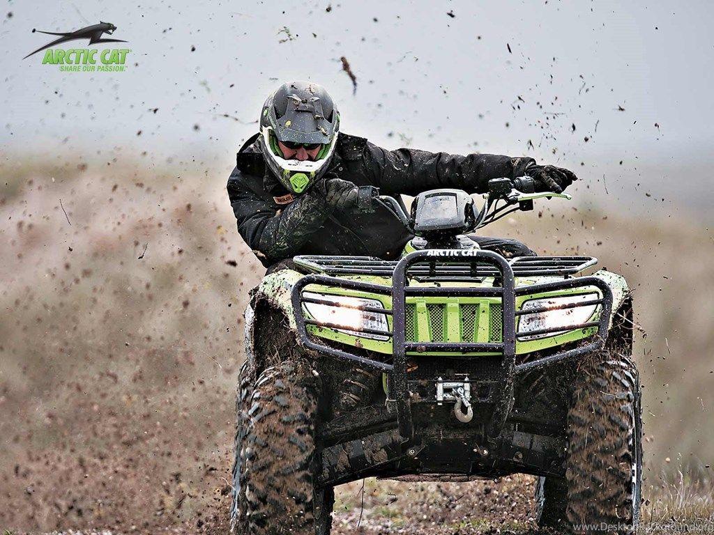 Arctic Cat Wallpapers - Top Free Arctic Cat Backgrounds - WallpaperAccess