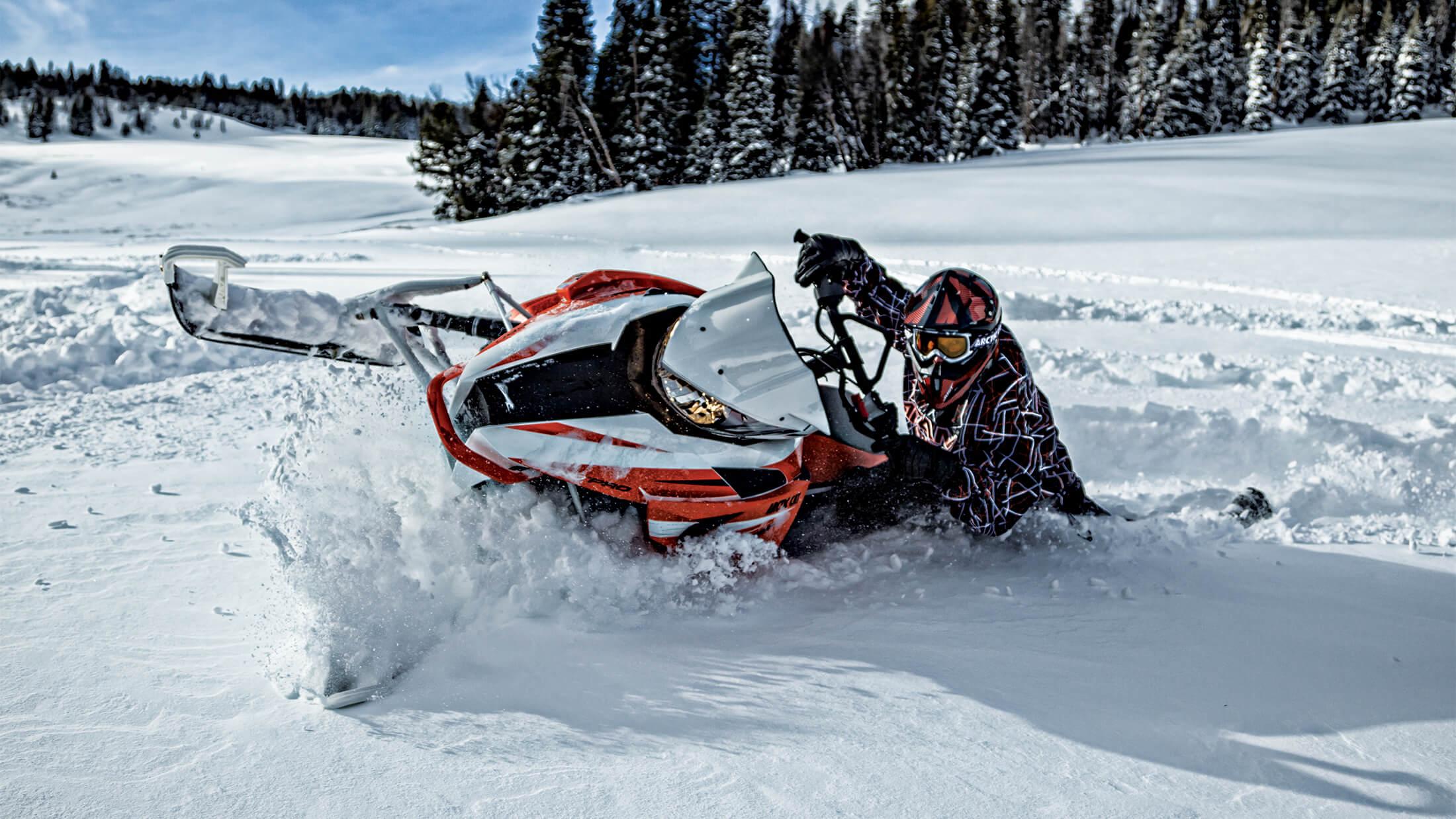 Arctic Cat Wallpapers - Top Free Arctic Cat Backgrounds - WallpaperAccess