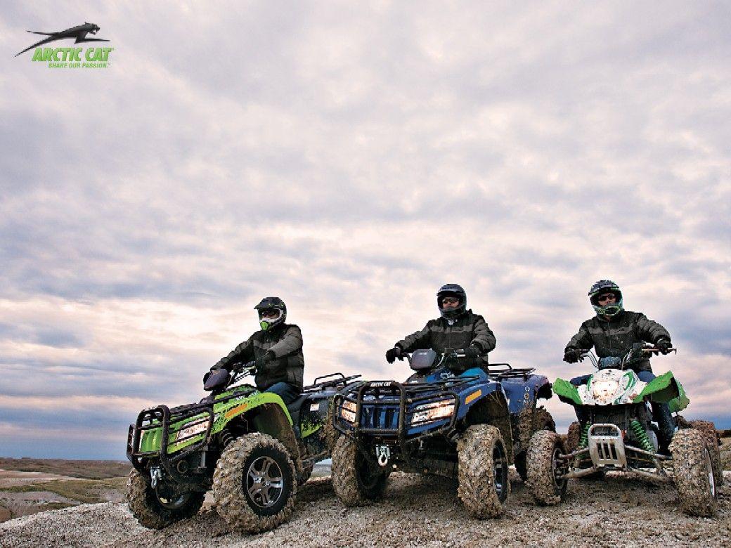 Arctic Cat Wallpapers - Top Free Arctic Cat Backgrounds - WallpaperAccess