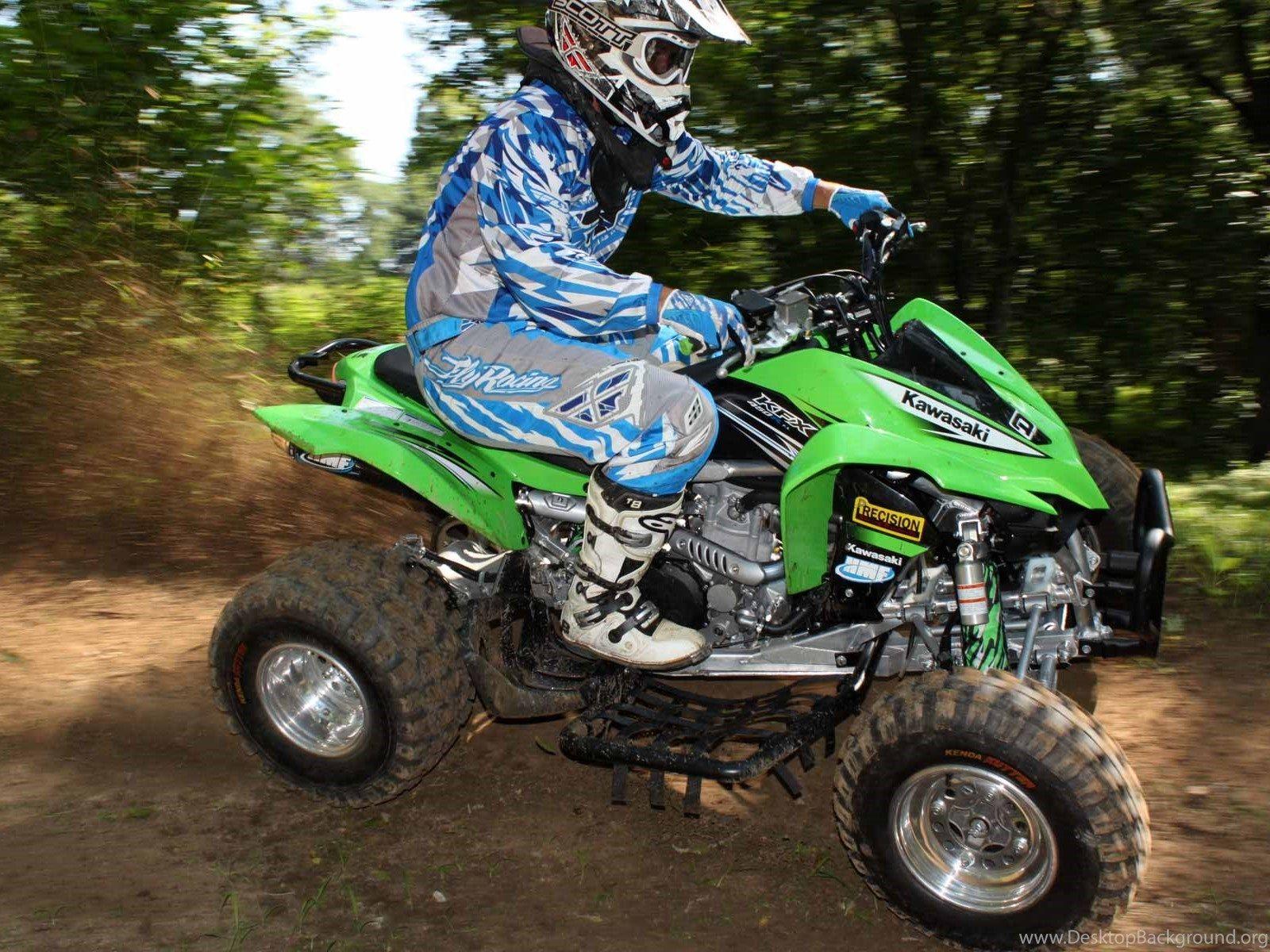 Arctic Cat Wallpapers - Top Free Arctic Cat Backgrounds - WallpaperAccess