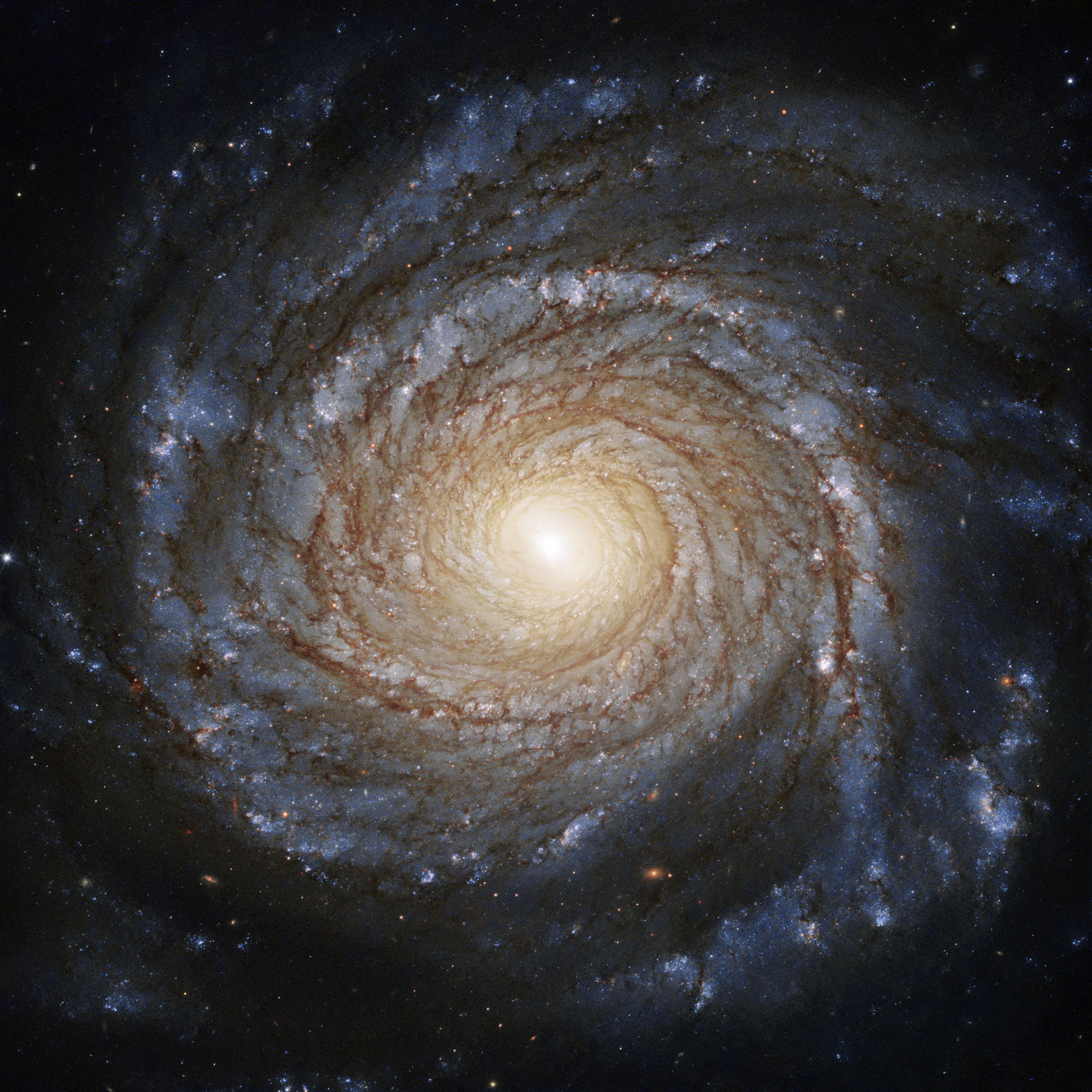 Spiral Galaxy Wallpapers - Top Free Spiral Galaxy Backgrounds ...