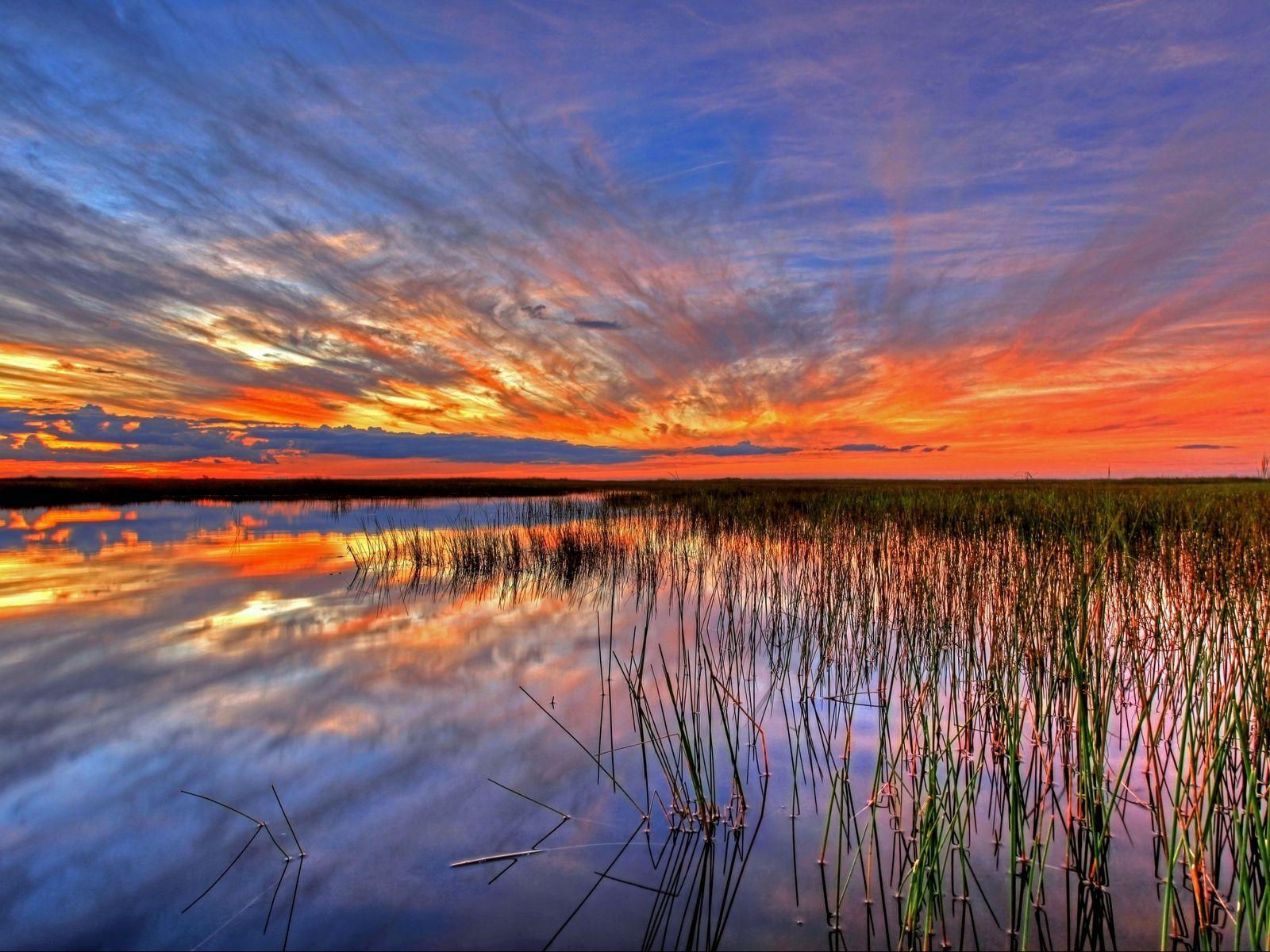 Everglades Wallpapers - Top Free Everglades Backgrounds - WallpaperAccess