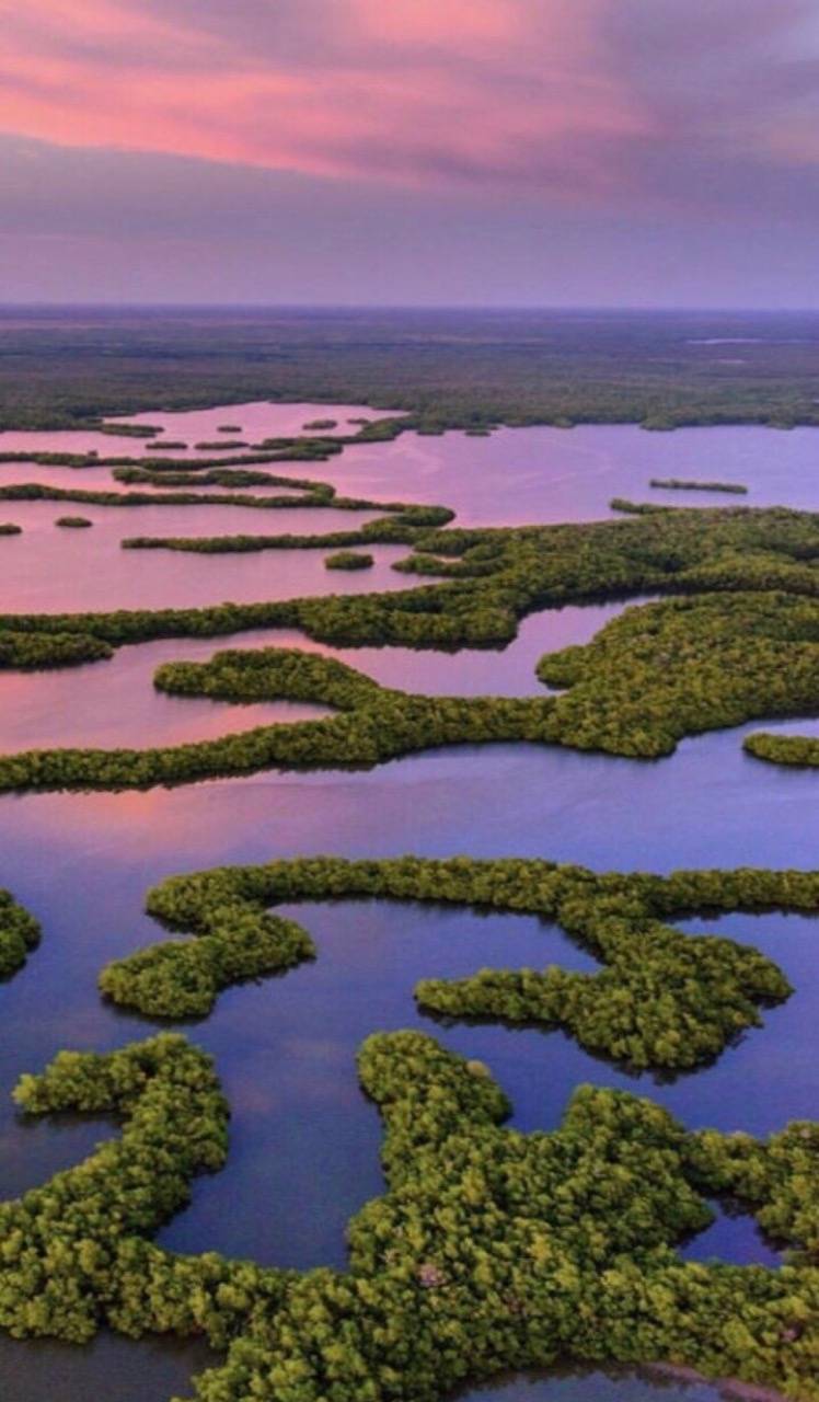 Everglades Wallpapers - Top Free Everglades Backgrounds - WallpaperAccess