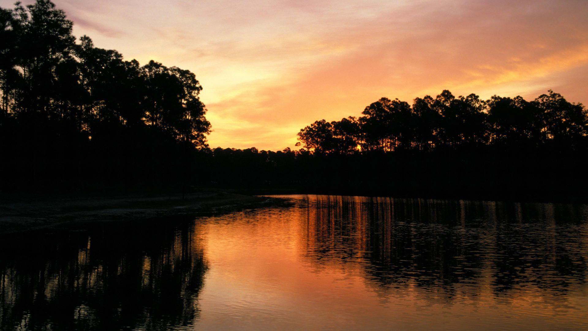 Everglades Wallpapers - Top Free Everglades Backgrounds - WallpaperAccess