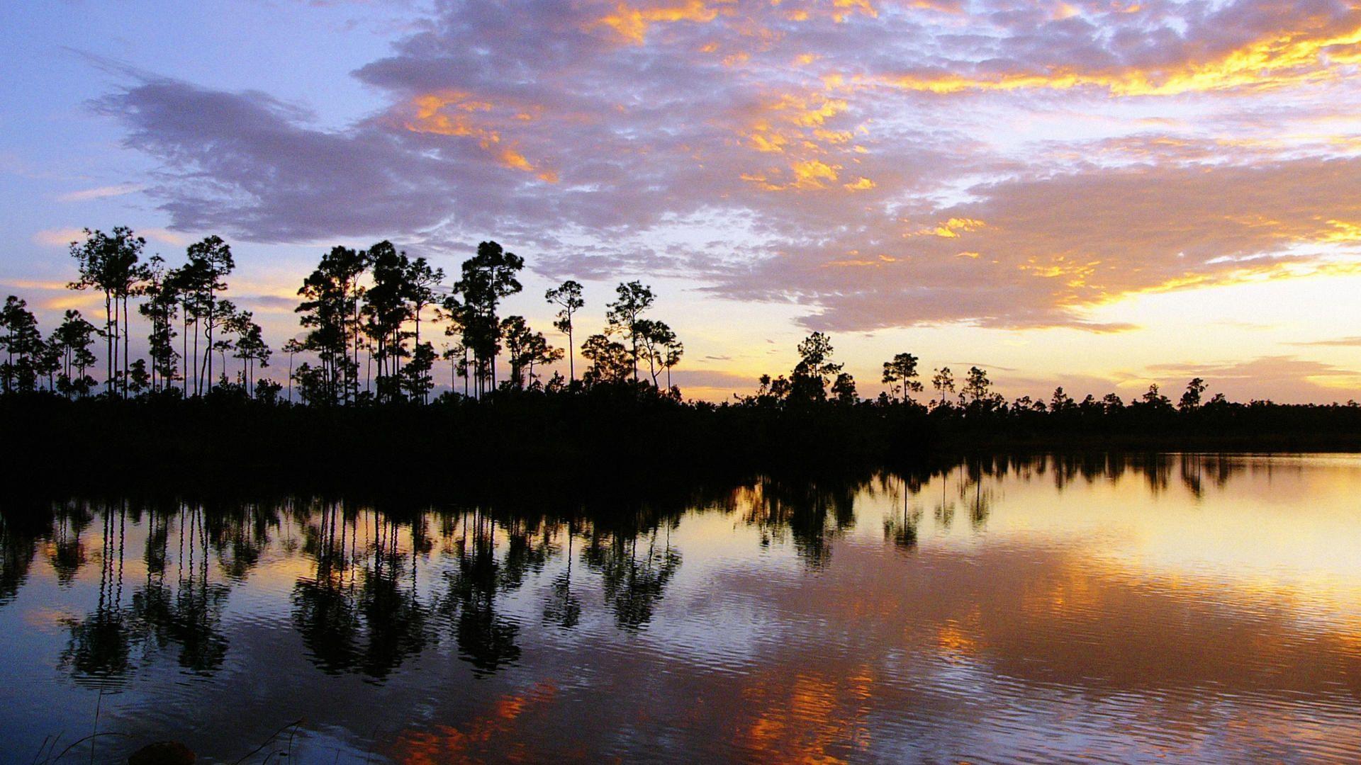 Everglades Wallpapers - Top Free Everglades Backgrounds - WallpaperAccess