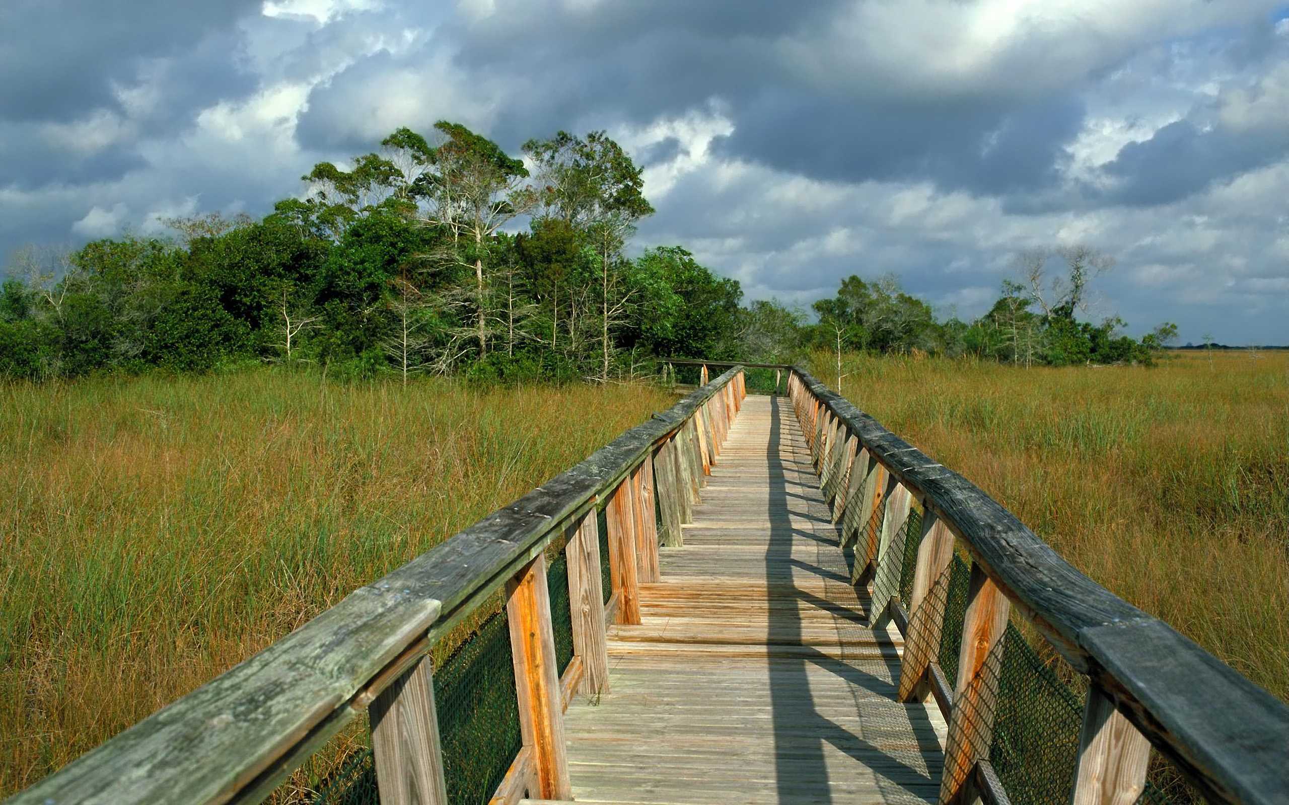 Everglades Wallpapers - Top Free Everglades Backgrounds - WallpaperAccess
