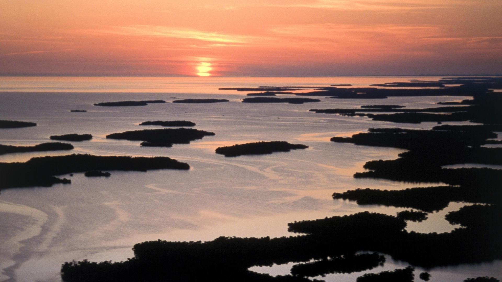 Everglades Wallpapers - Top Free Everglades Backgrounds - WallpaperAccess