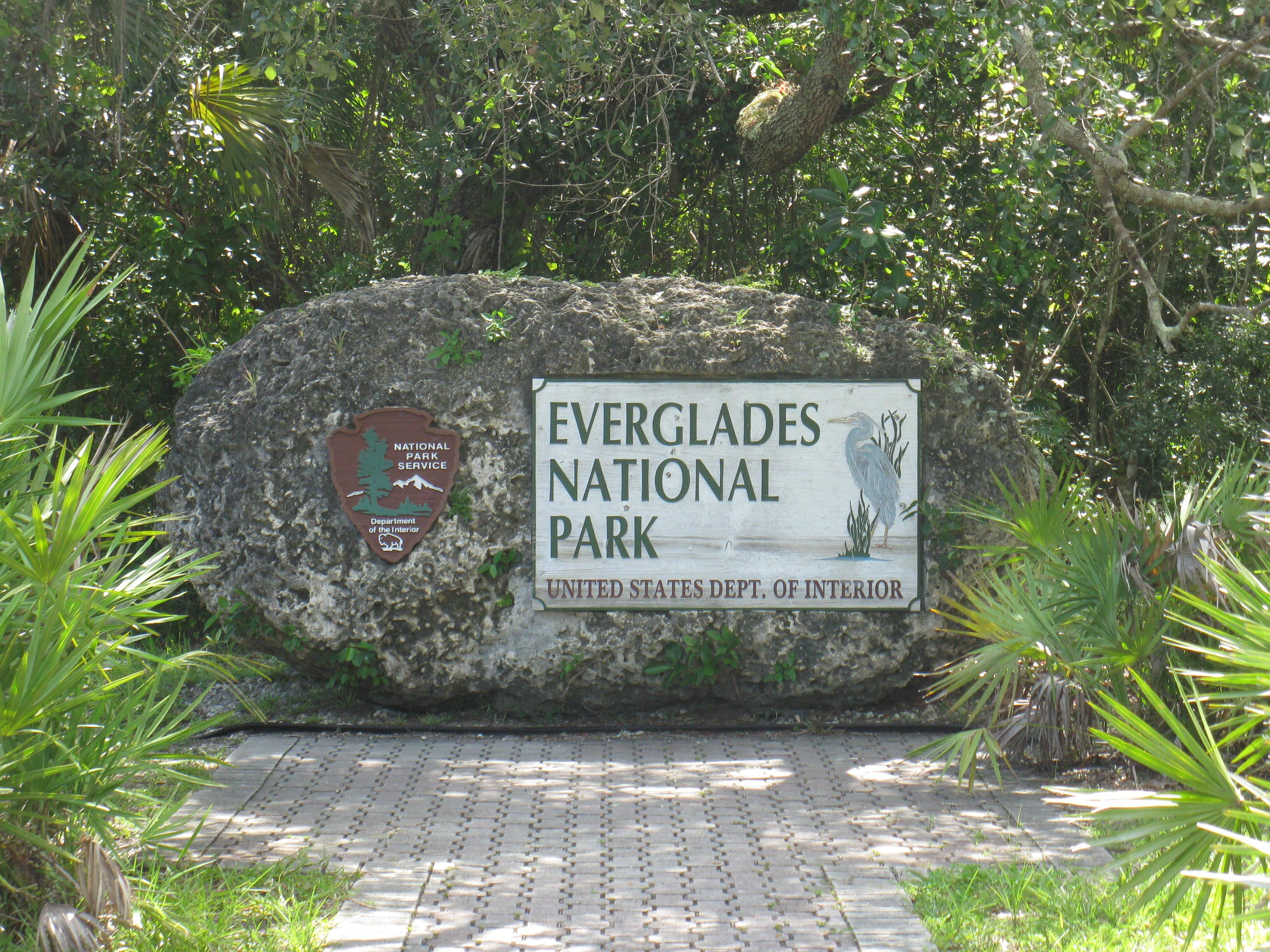 Everglades Wallpapers - Top Free Everglades Backgrounds - WallpaperAccess