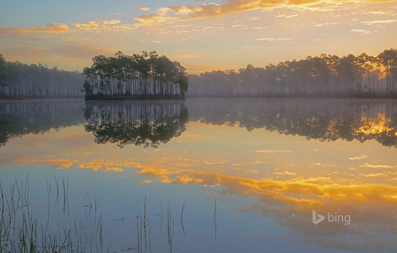 Everglades Wallpapers - Top Free Everglades Backgrounds - WallpaperAccess