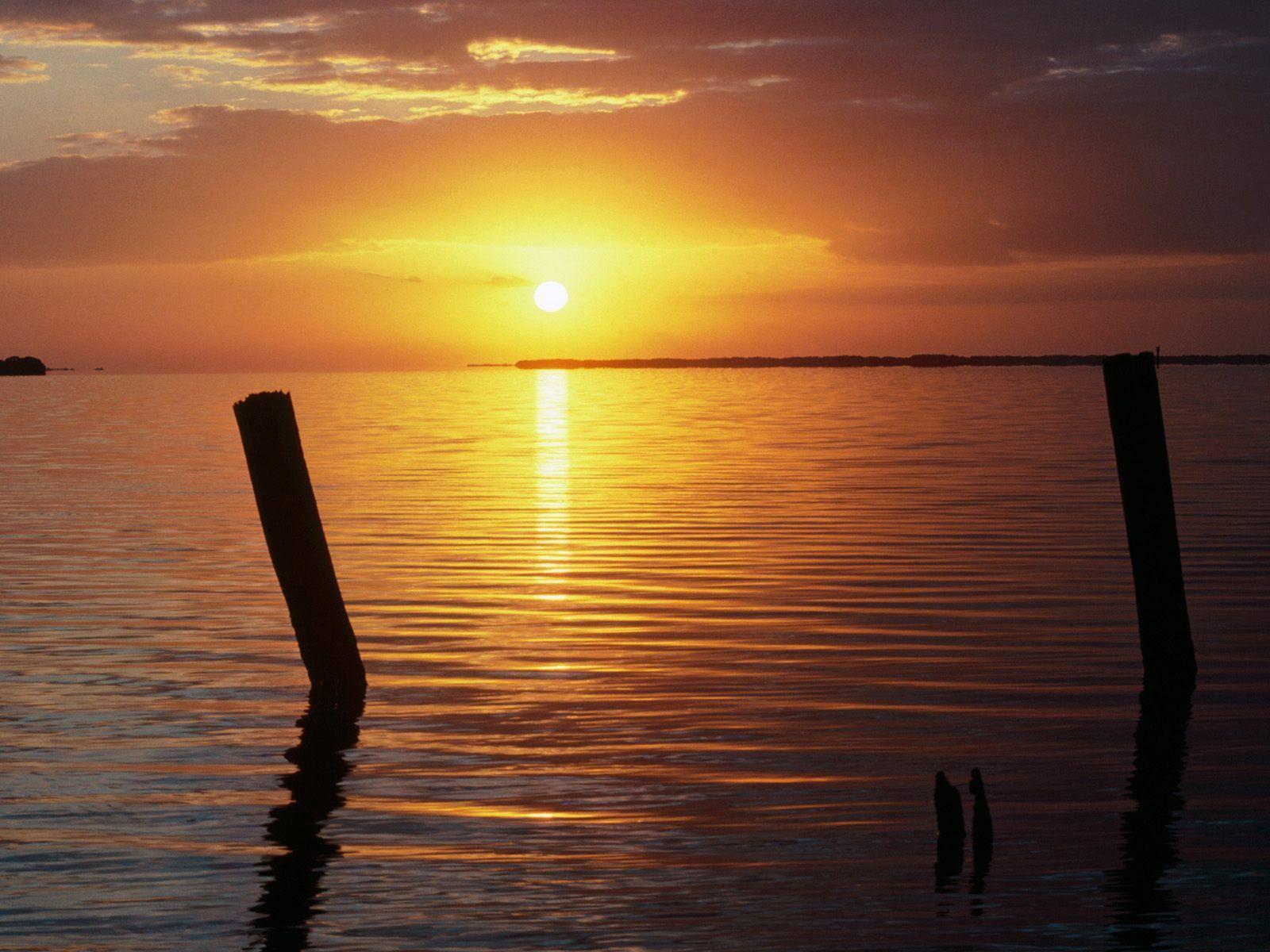 Everglades Wallpapers - Top Free Everglades Backgrounds - WallpaperAccess
