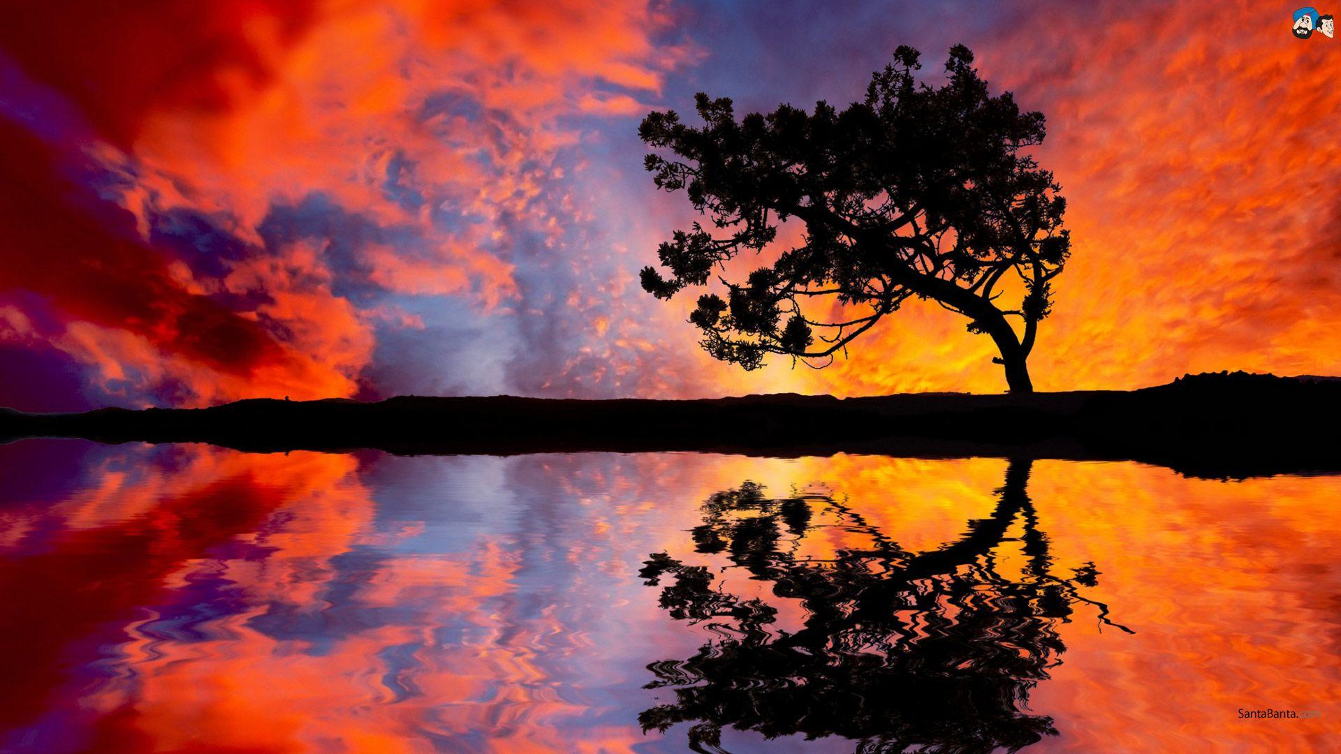 Pretty Sunset Wallpapers - Top Free Pretty Sunset Backgrounds ...