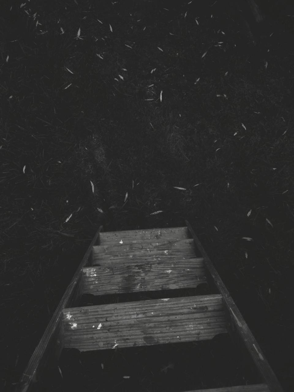 Ladder Wallpapers - Top Free Ladder Backgrounds - WallpaperAccess