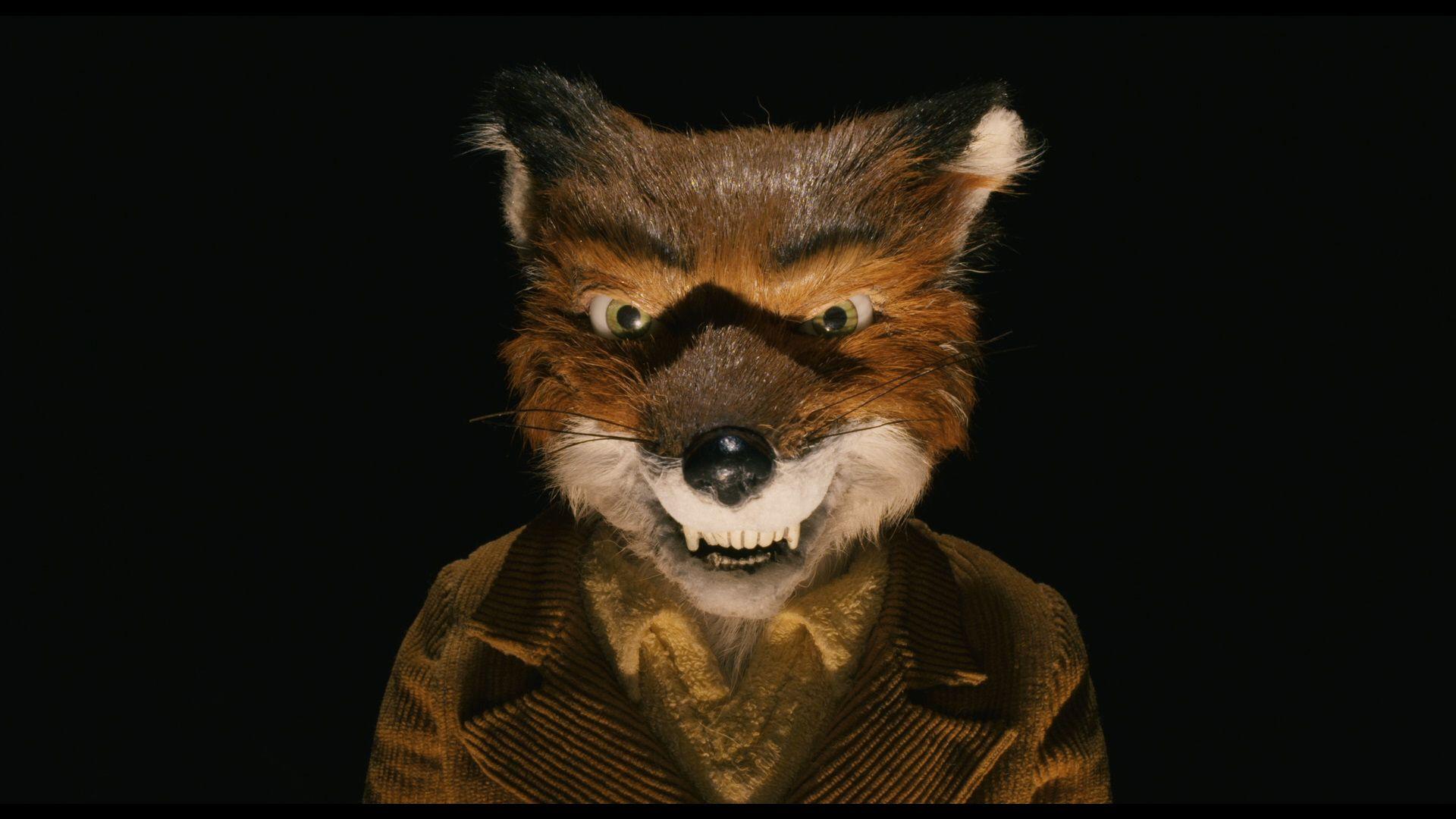 Fantastic Mr. Fox Wallpapers - Top Free Fantastic Mr. Fox Backgrounds ...